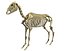 Donkey Skeleton Animal 3d Lwo
