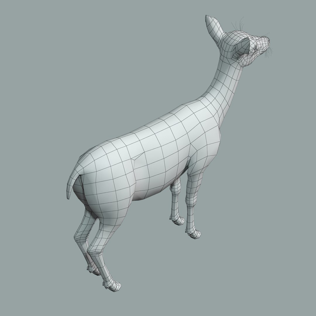 Red Deer Doe Fur 3d Model