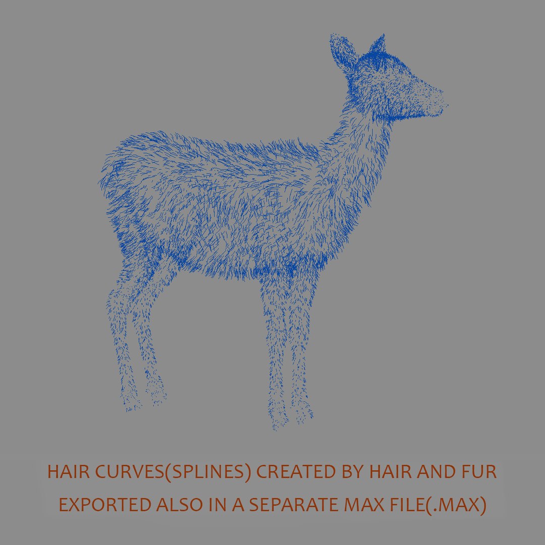 Red Deer Doe Fur 3d Model