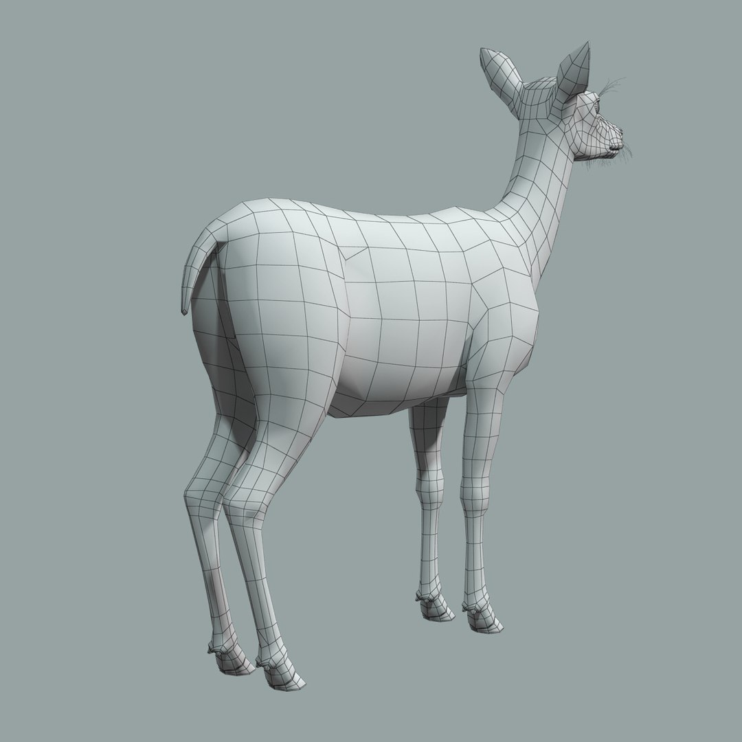 Red Deer Doe Fur 3d Model