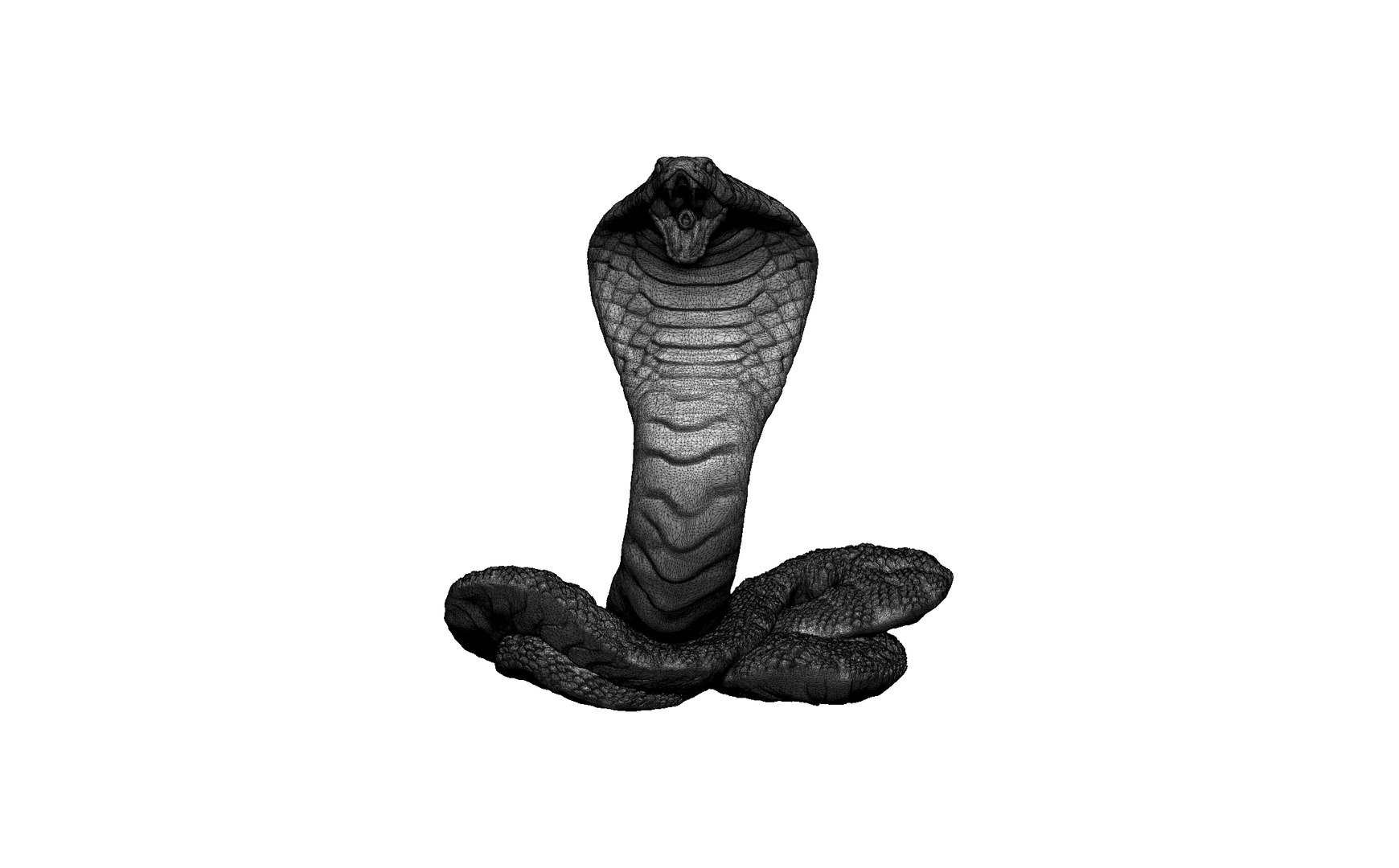 3D Model Cobra - TurboSquid 2029607