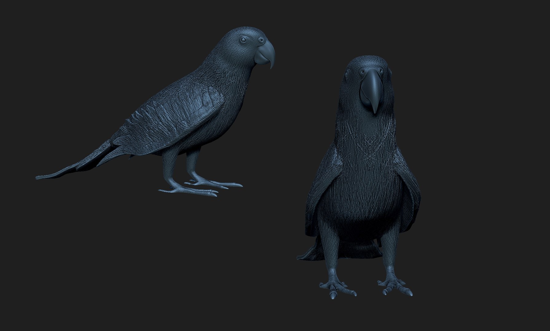 3D Parrot Model - TurboSquid 2139716