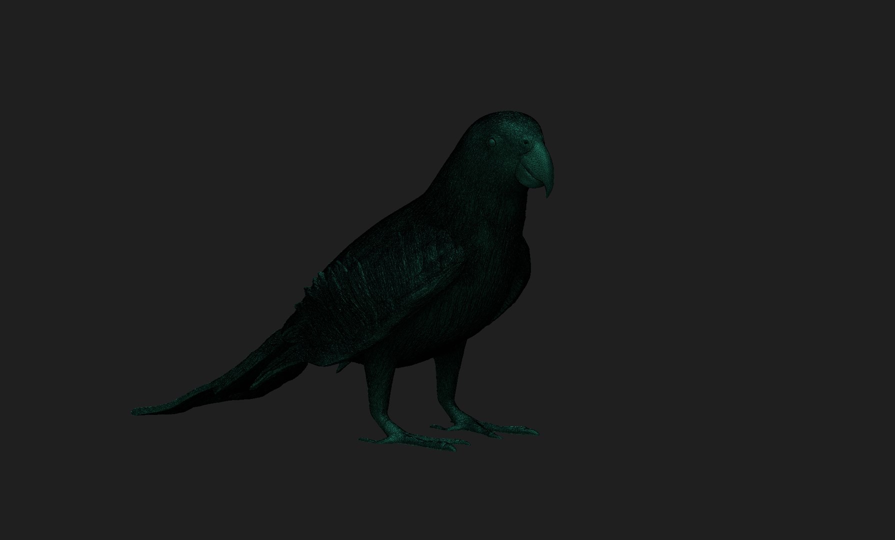 3D Parrot Model - TurboSquid 2139716