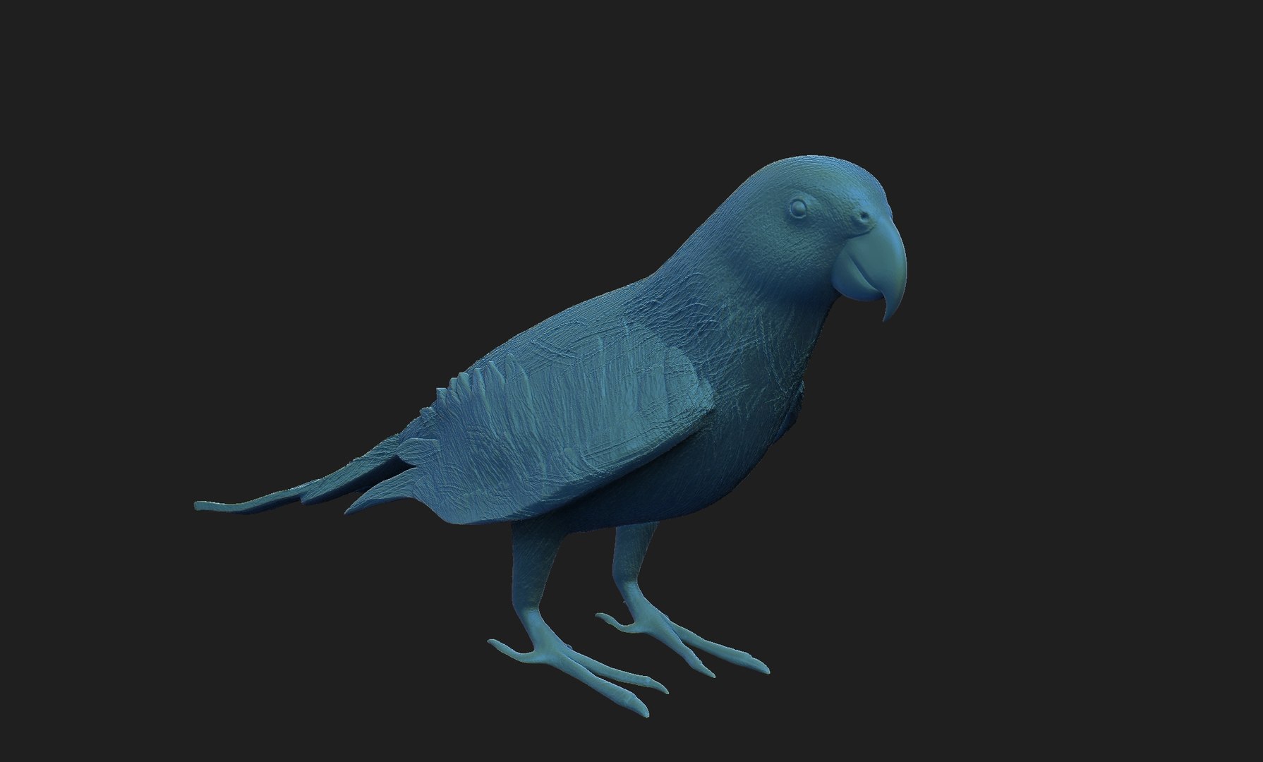3D Parrot Model - TurboSquid 2139716