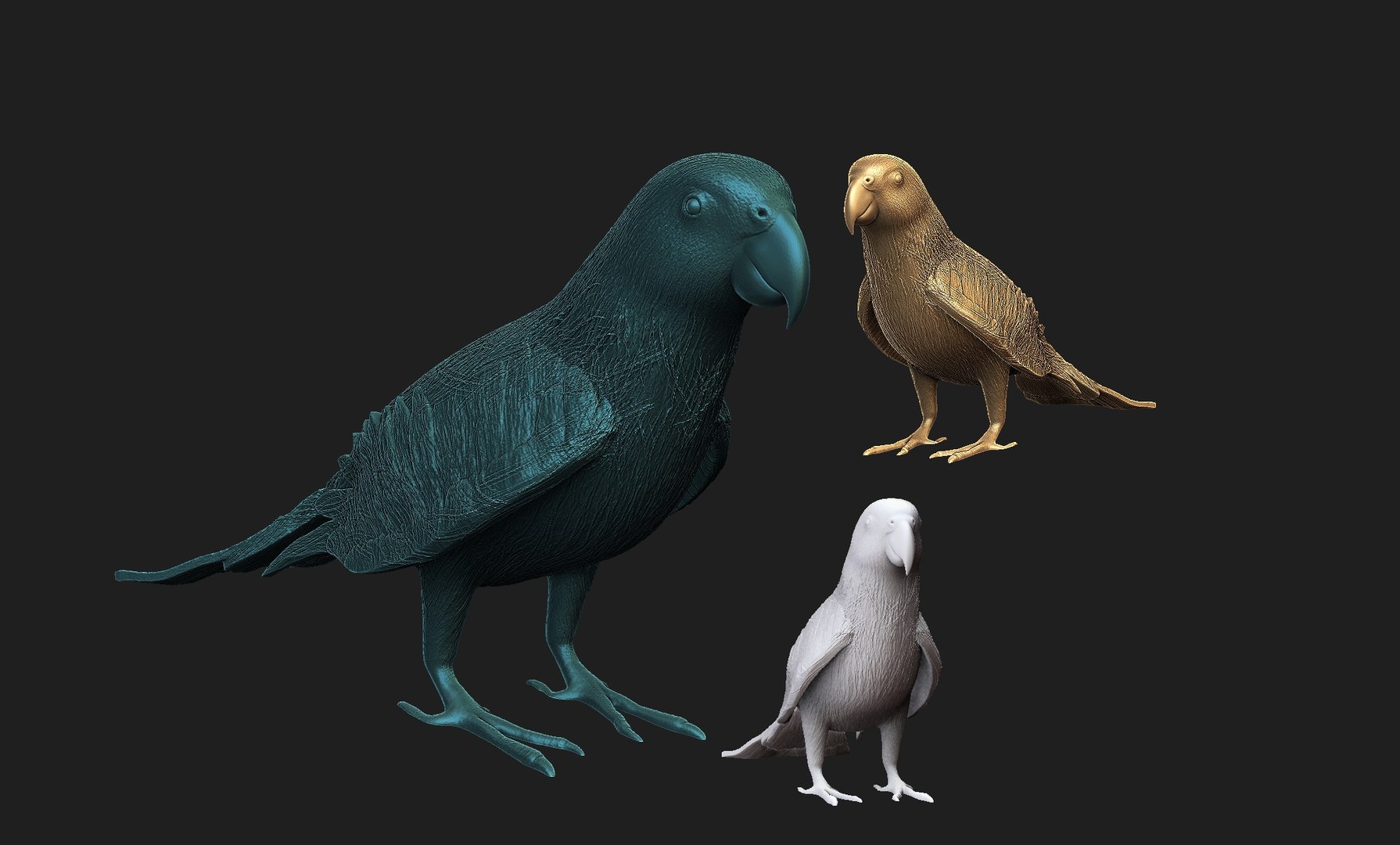 3D Parrot Model - TurboSquid 2139716