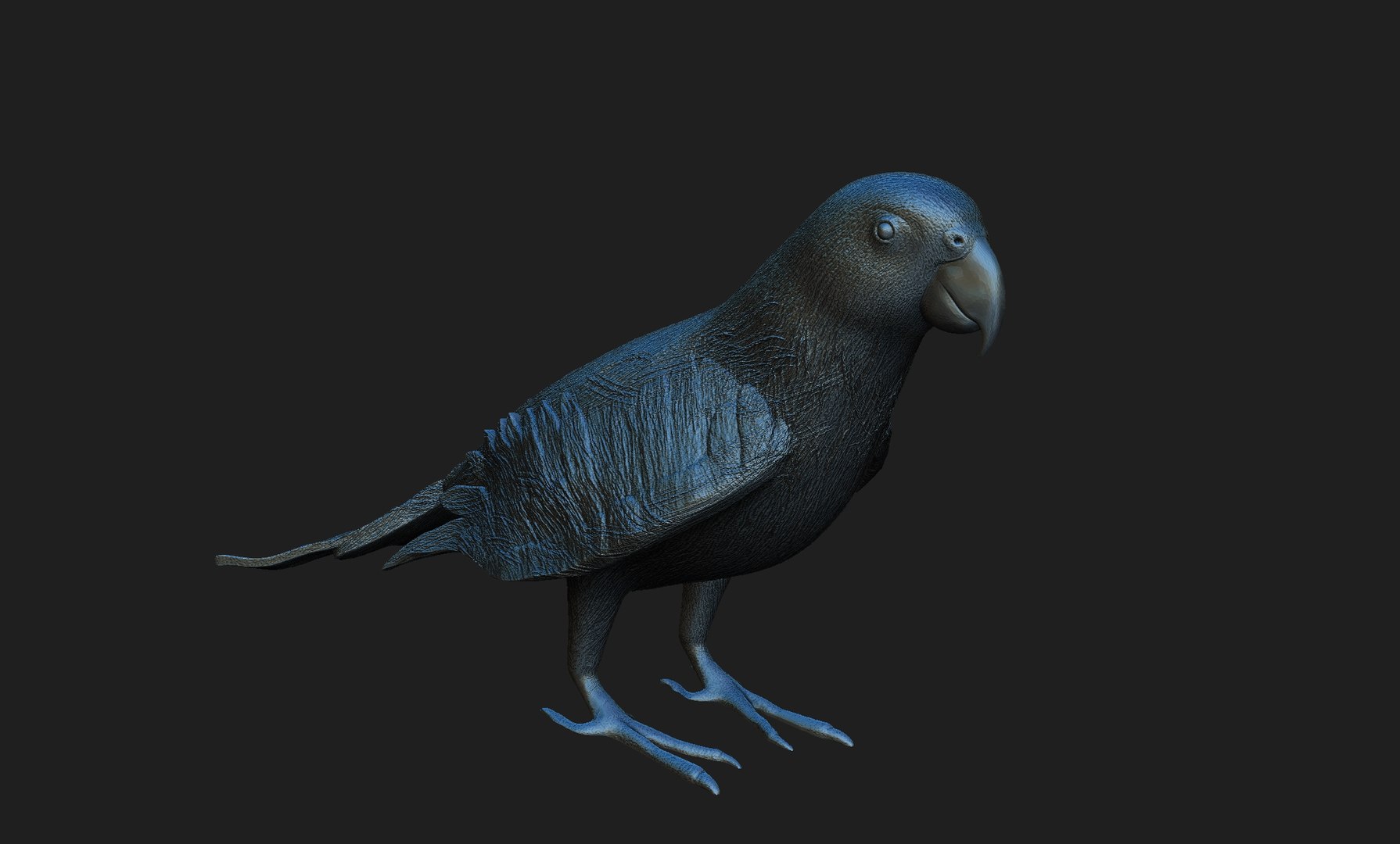 3D Parrot Model - TurboSquid 2139716