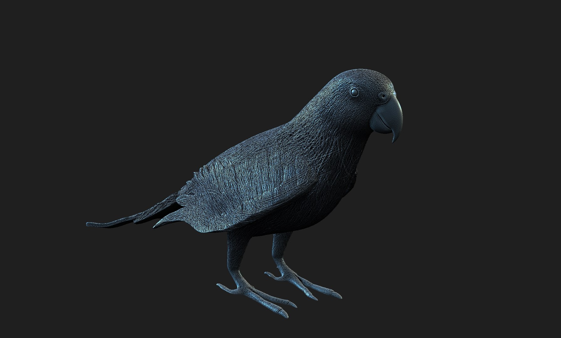 3D Parrot Model - TurboSquid 2139716