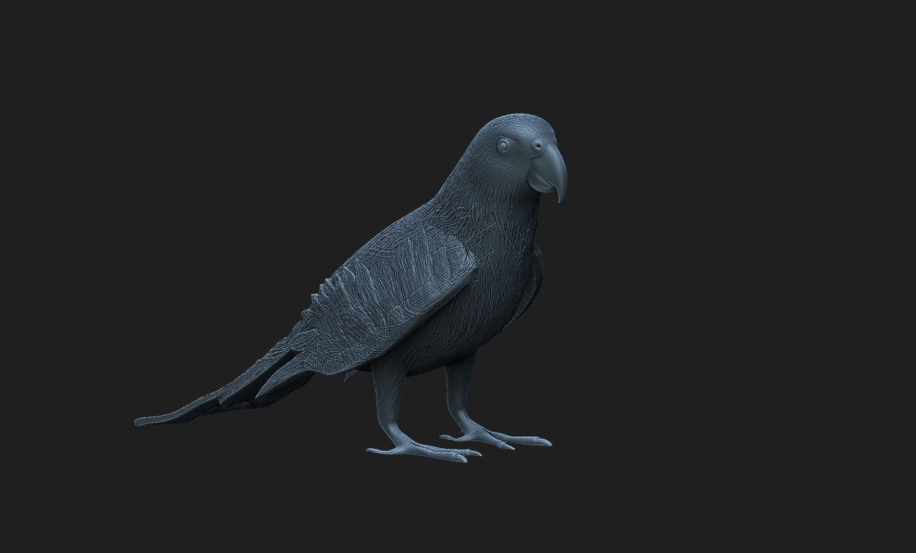 3D Parrot Model - TurboSquid 2139716