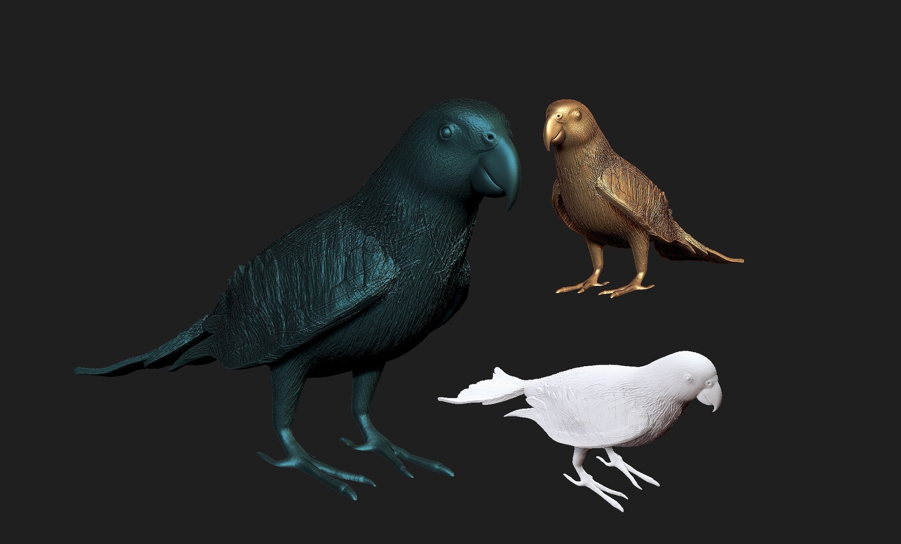 3D Parrot Model - TurboSquid 2139716