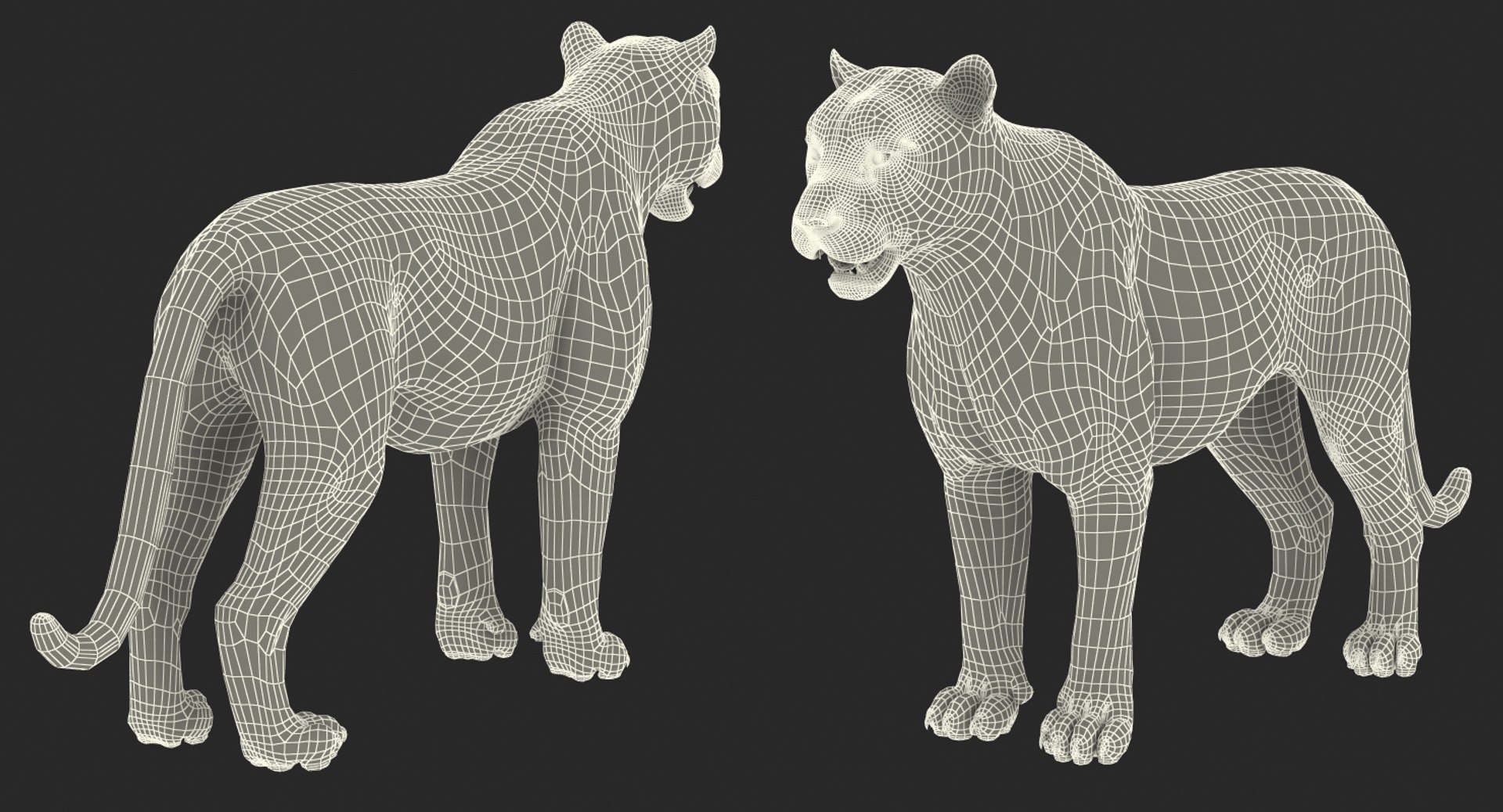 Tiger Rigged 3D Model - TurboSquid 1275414