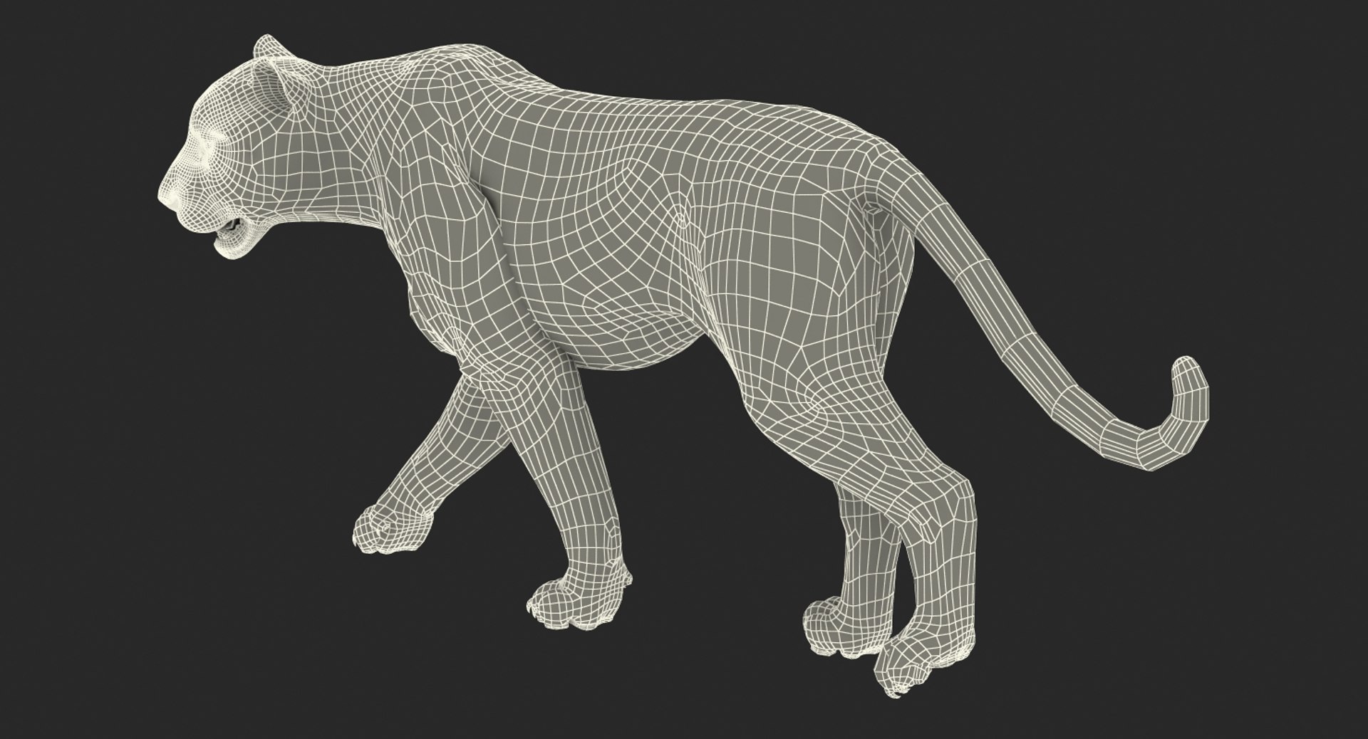 Tiger Rigged 3D Model - TurboSquid 1275414