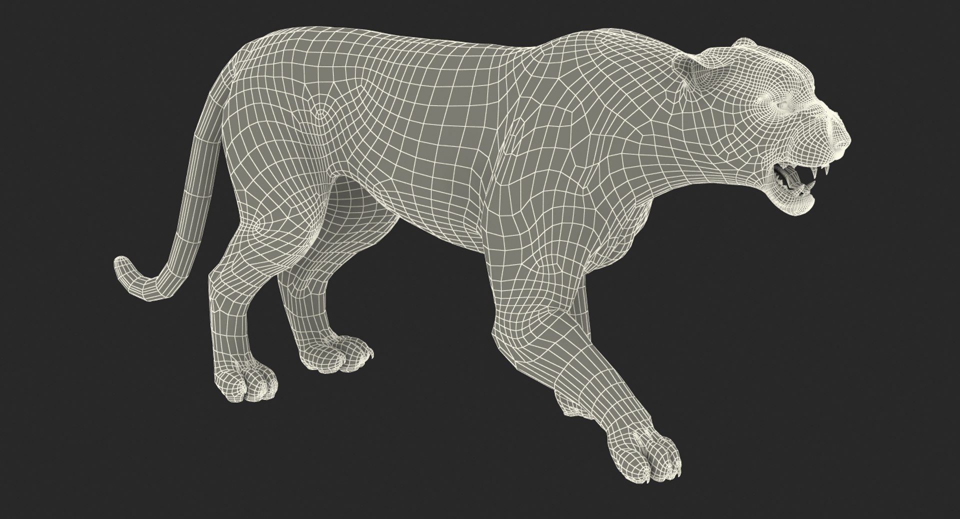 Tiger Rigged 3D Model - TurboSquid 1275414