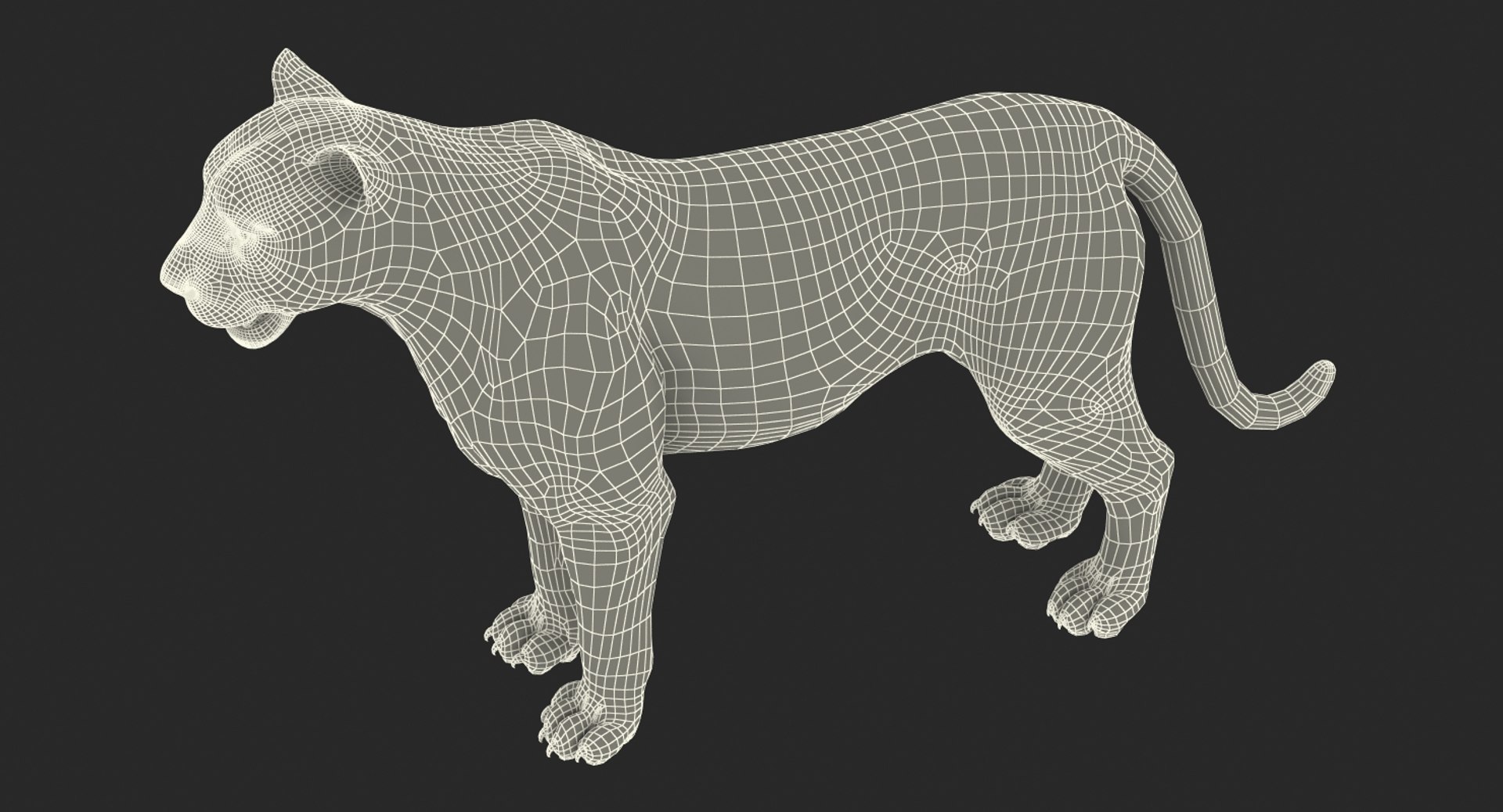 Tiger Rigged 3D Model - TurboSquid 1275414