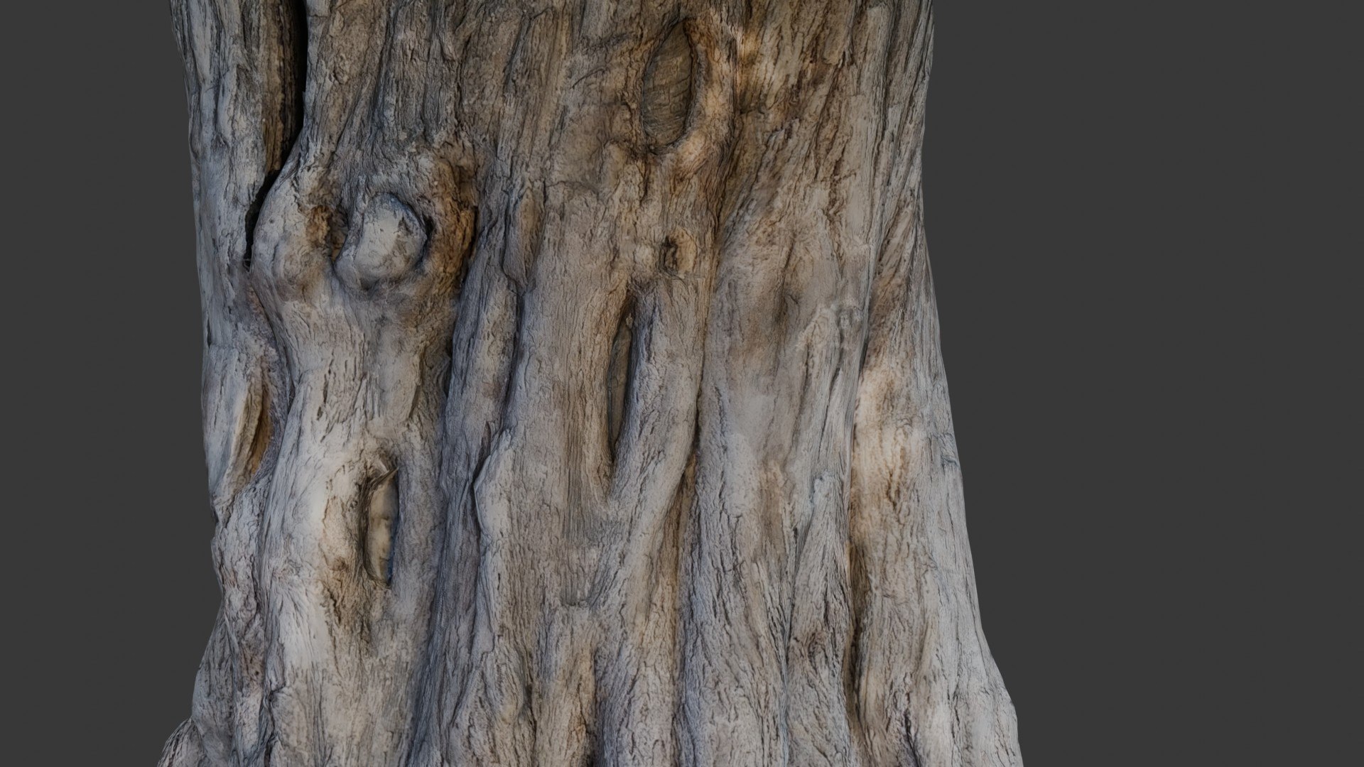 Large Tree Trunk 3D Model 3D - TurboSquid 2409842