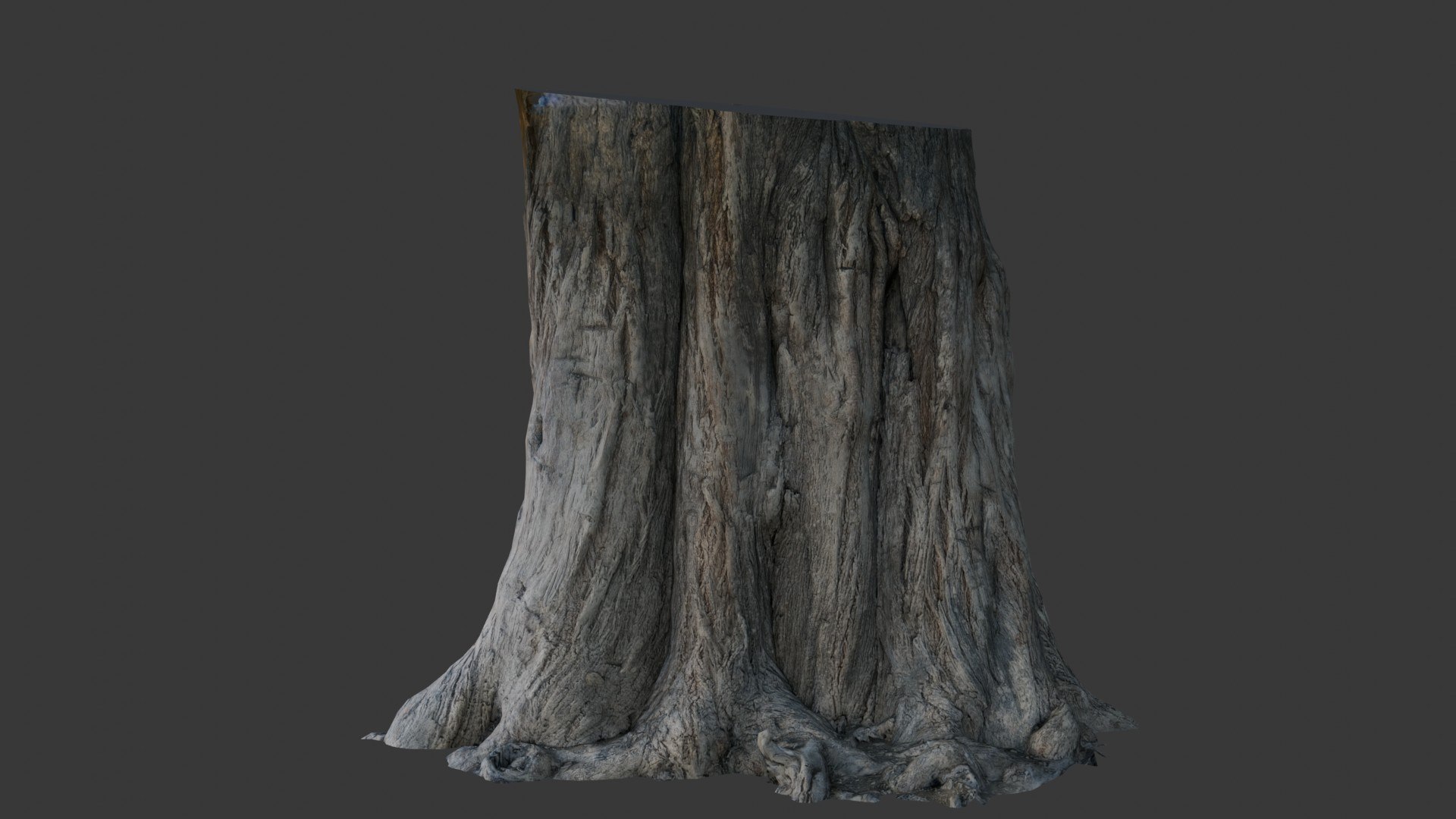 Large Tree Trunk 3D Model 3D - TurboSquid 2409842