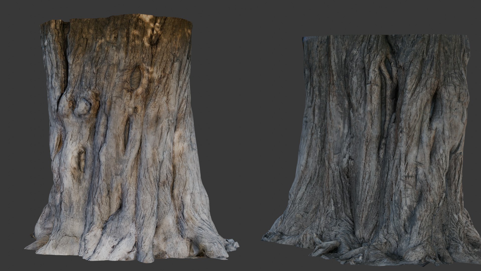 Large Tree Trunk 3D Model 3D - TurboSquid 2409842
