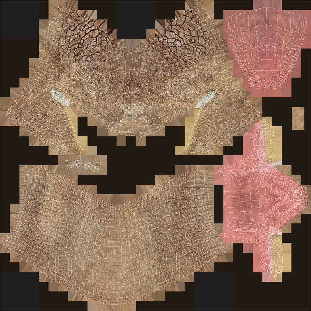 Realistic Turtle Rig Tortoise Shell Max