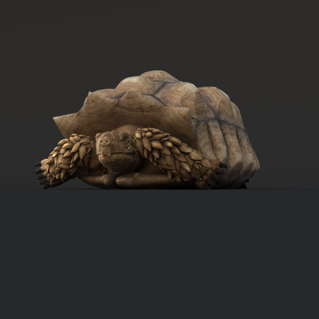 Realistic Turtle Rig Tortoise Shell Max