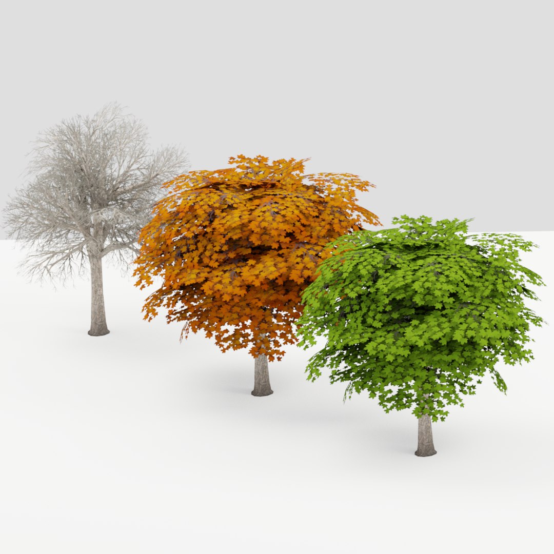 Trees 3D model - TurboSquid 1427036