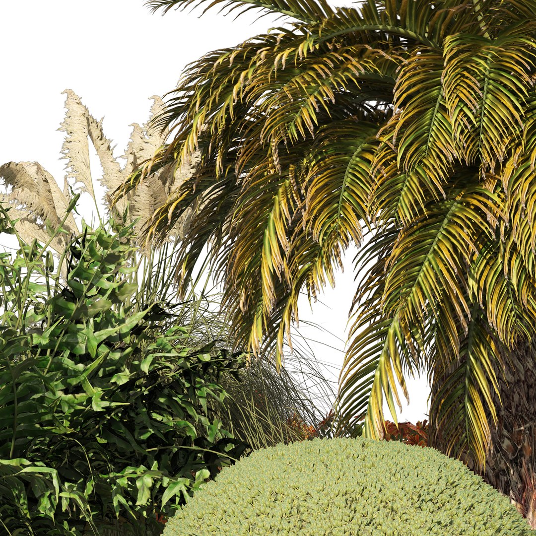 3D Outdoor Garden Set Palm Tree Bush Flowers - TurboSquid 1885315