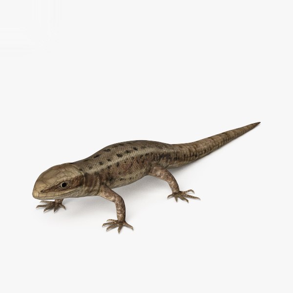 modelo 3d Common Lizard HD - TurboSquid 1441316