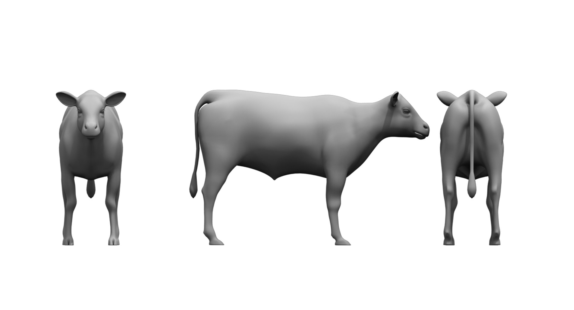 Calf Animal 3D Model - TurboSquid 1539646