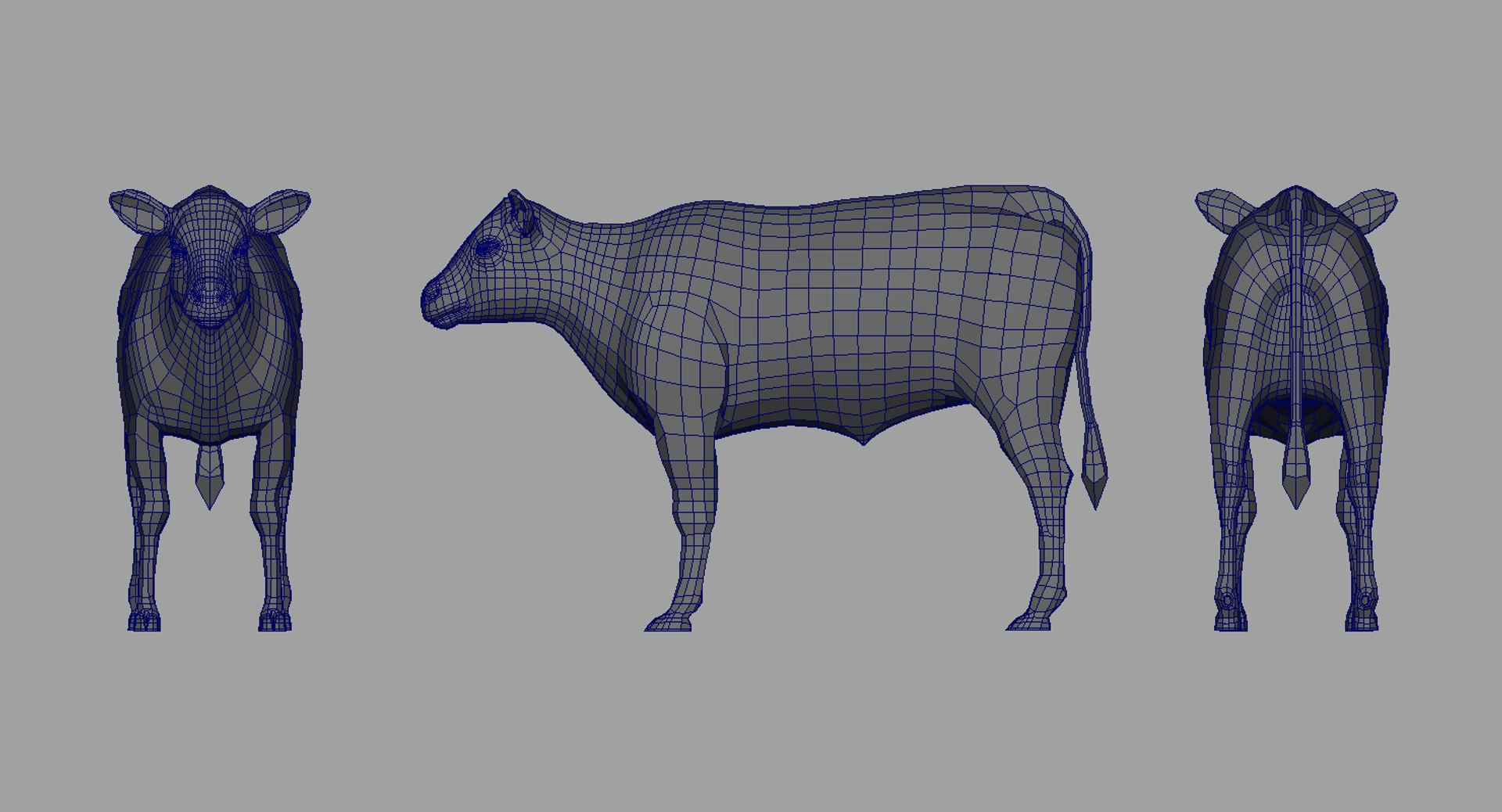 Calf Animal 3D Model - TurboSquid 1539646