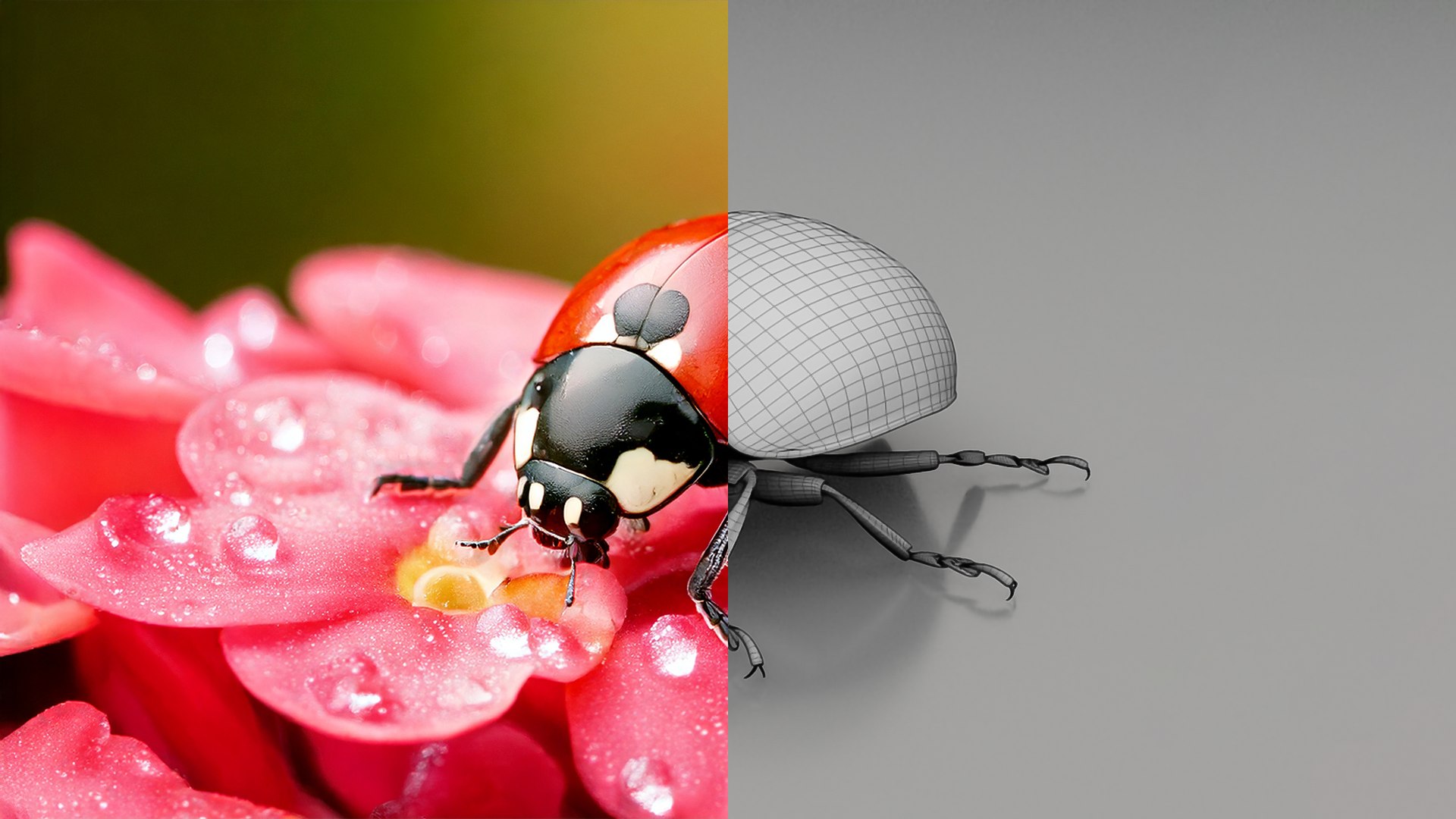 3D Realistic Insects Pack - Volume 01 - TurboSquid 2376991