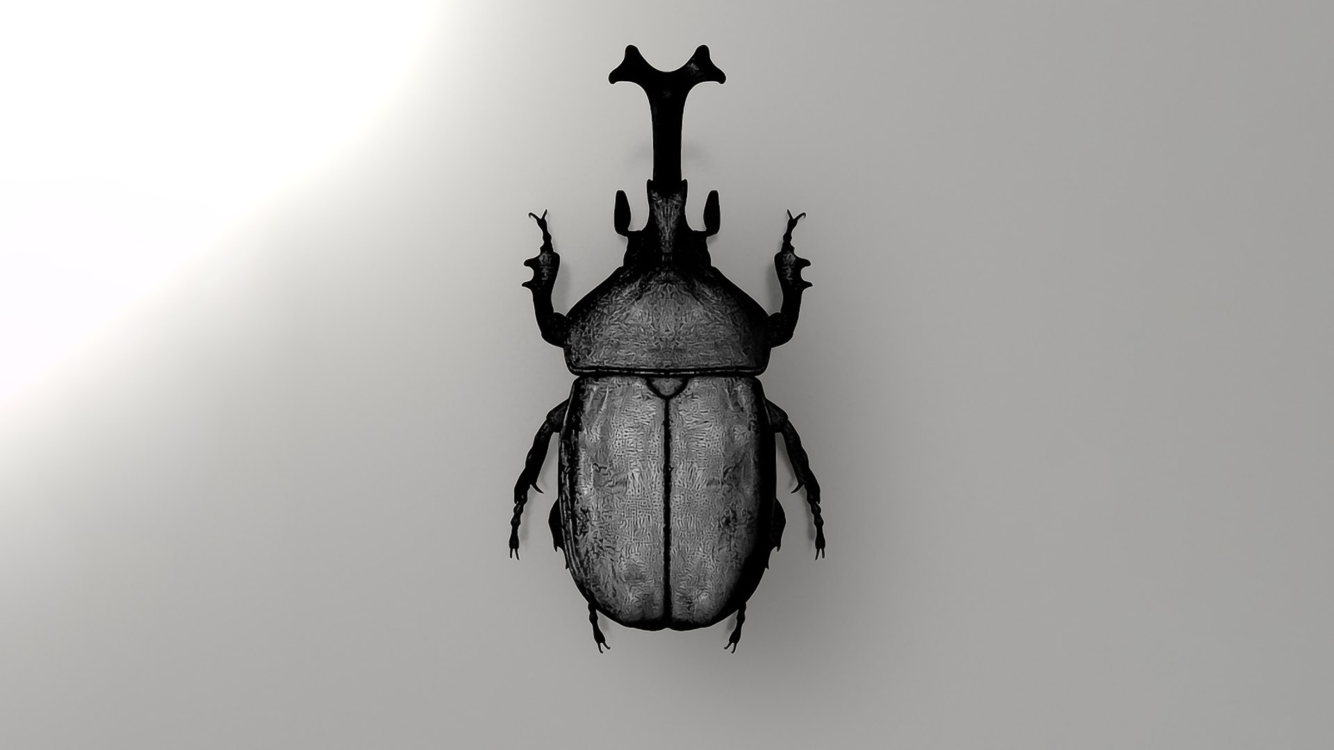 3D Realistic Insects Pack - Volume 01 - TurboSquid 2376991