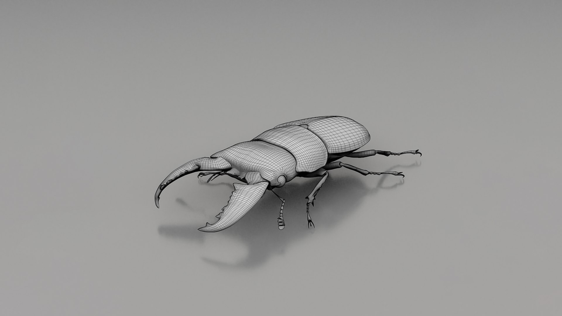 3D Realistic Insects Pack - Volume 01 - TurboSquid 2376991