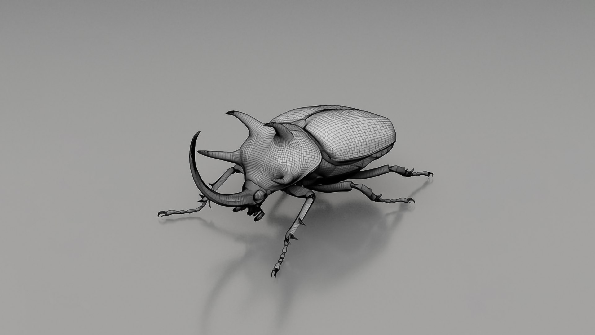 3D Realistic Insects Pack - Volume 01 - TurboSquid 2376991
