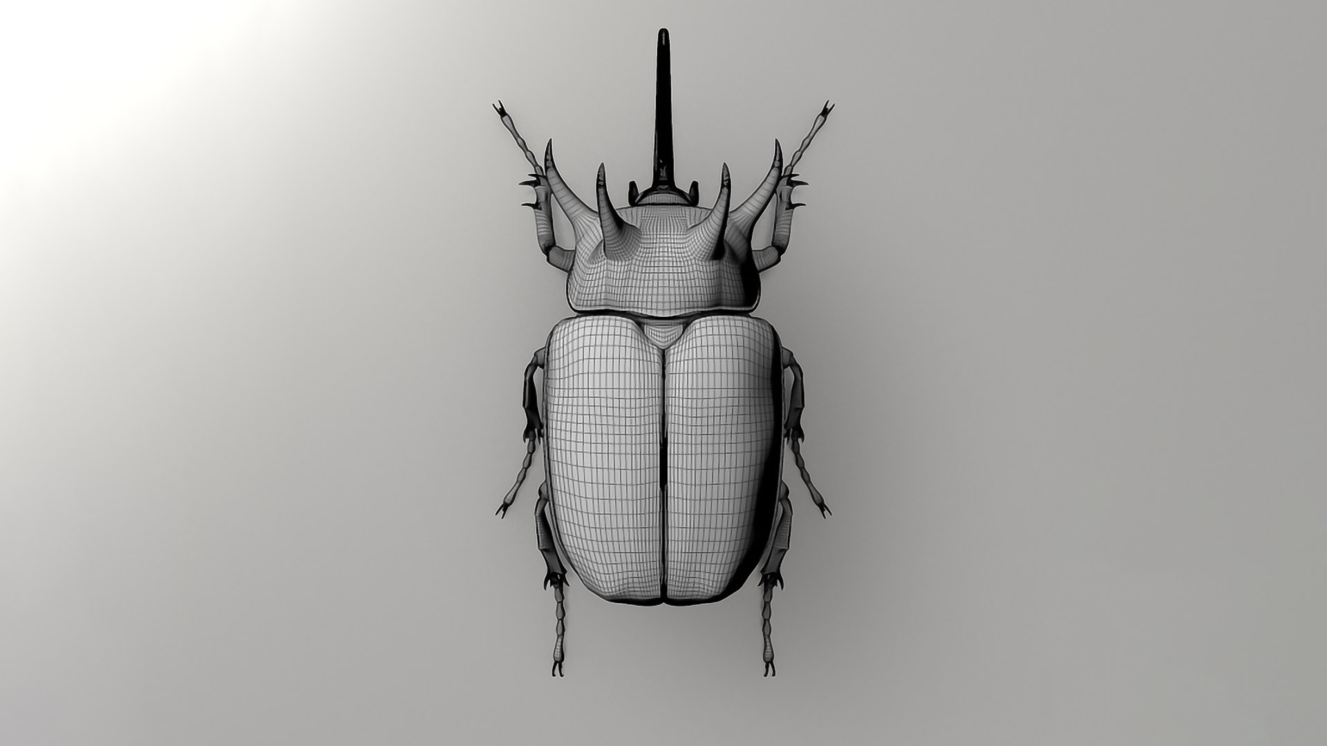 3D Realistic Insects Pack - Volume 01 - TurboSquid 2376991