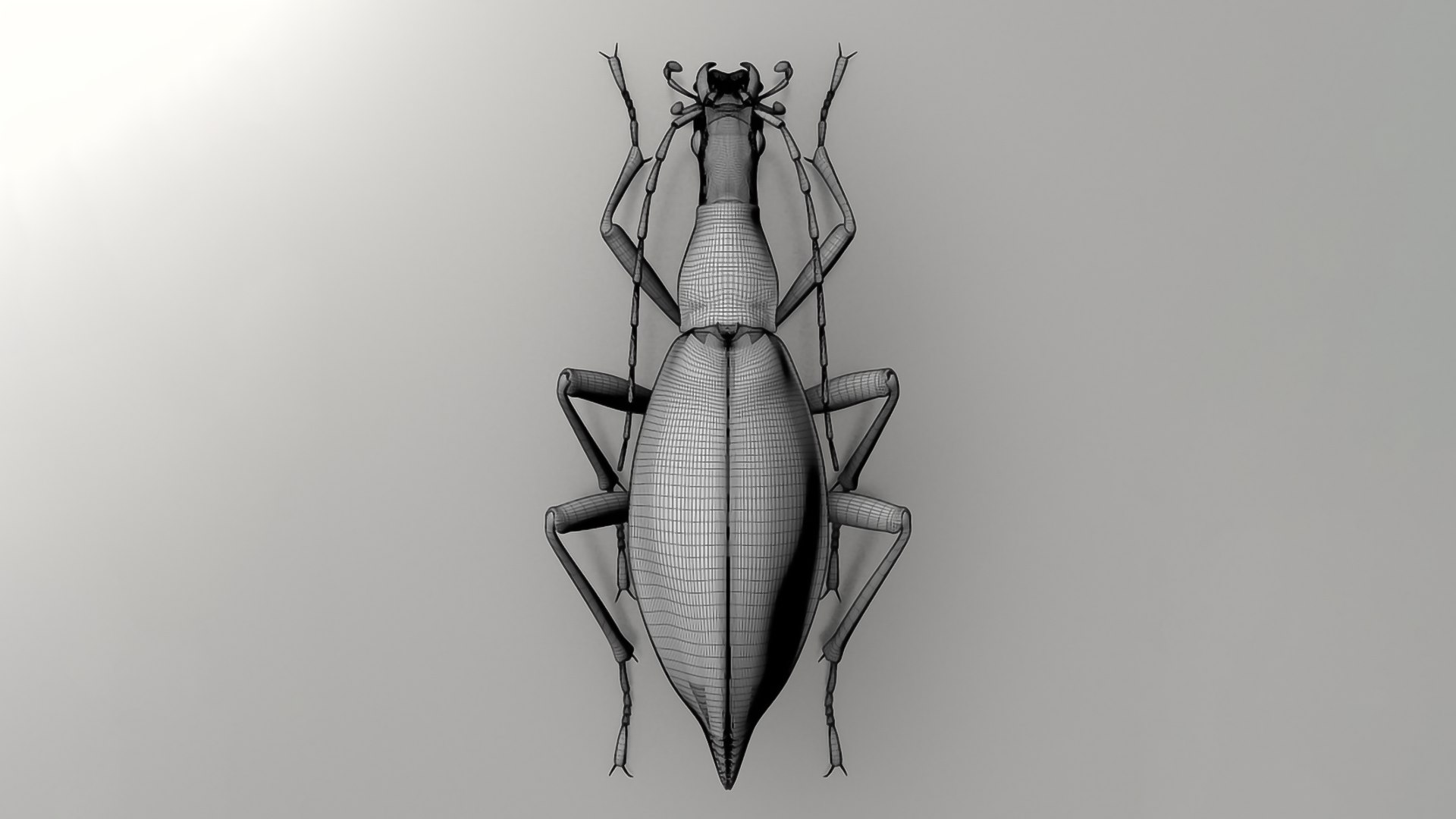 3D Realistic Insects Pack - Volume 01 - TurboSquid 2376991