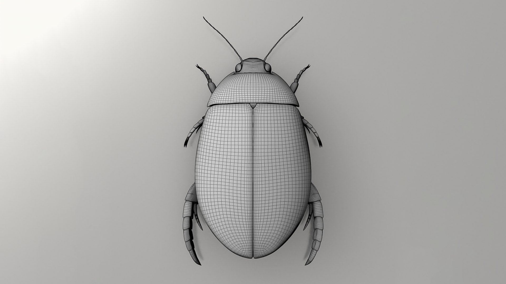 3D Realistic Insects Pack - Volume 01 - TurboSquid 2376991