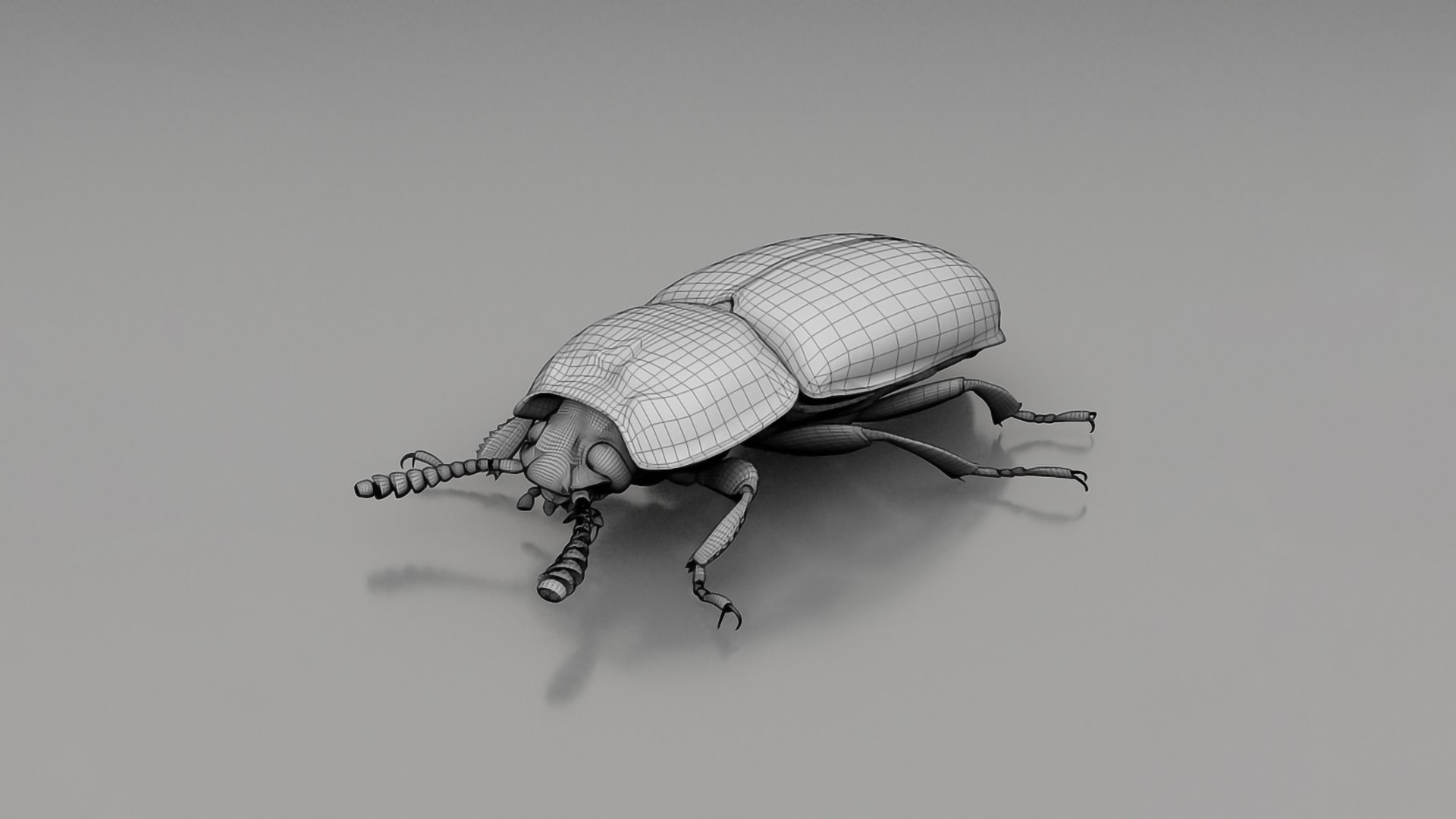 3D Realistic Insects Pack - Volume 01 - TurboSquid 2376991