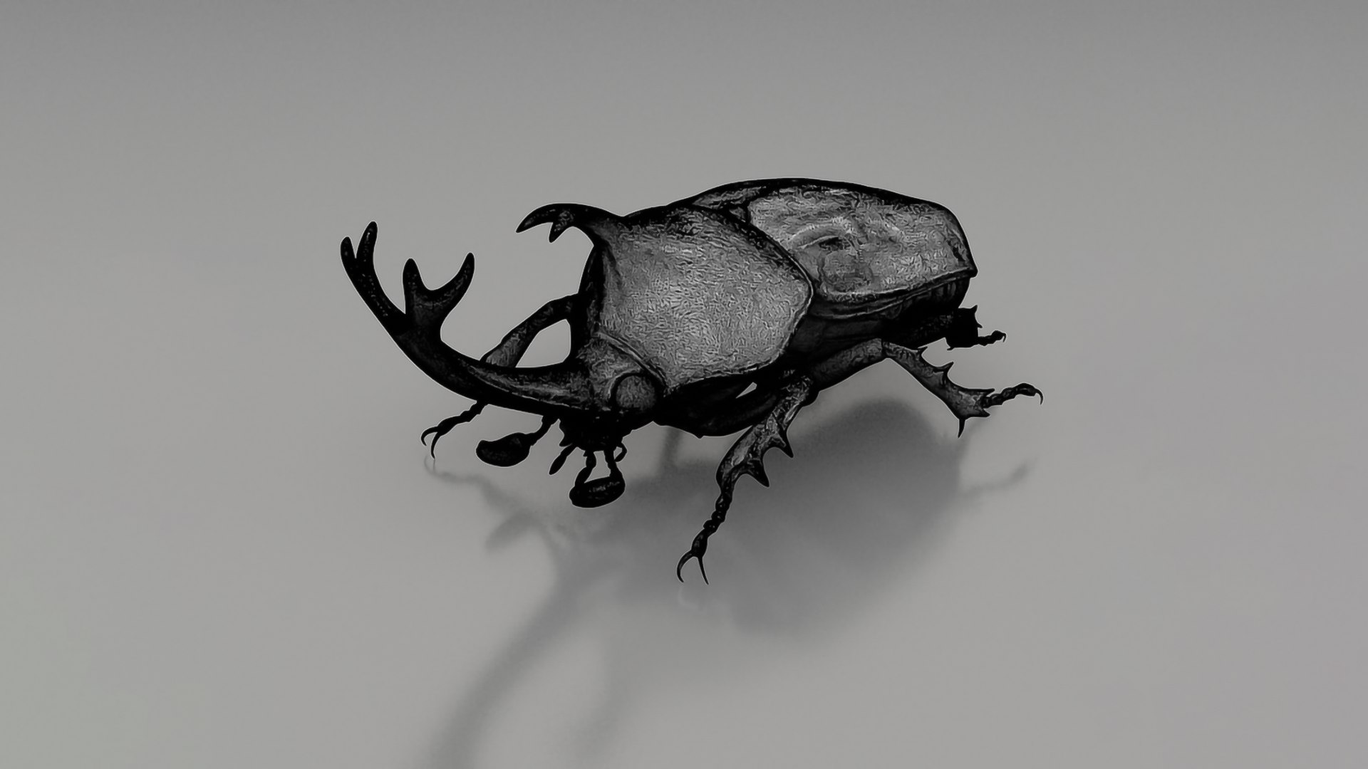 3D Realistic Insects Pack - Volume 01 - TurboSquid 2376991