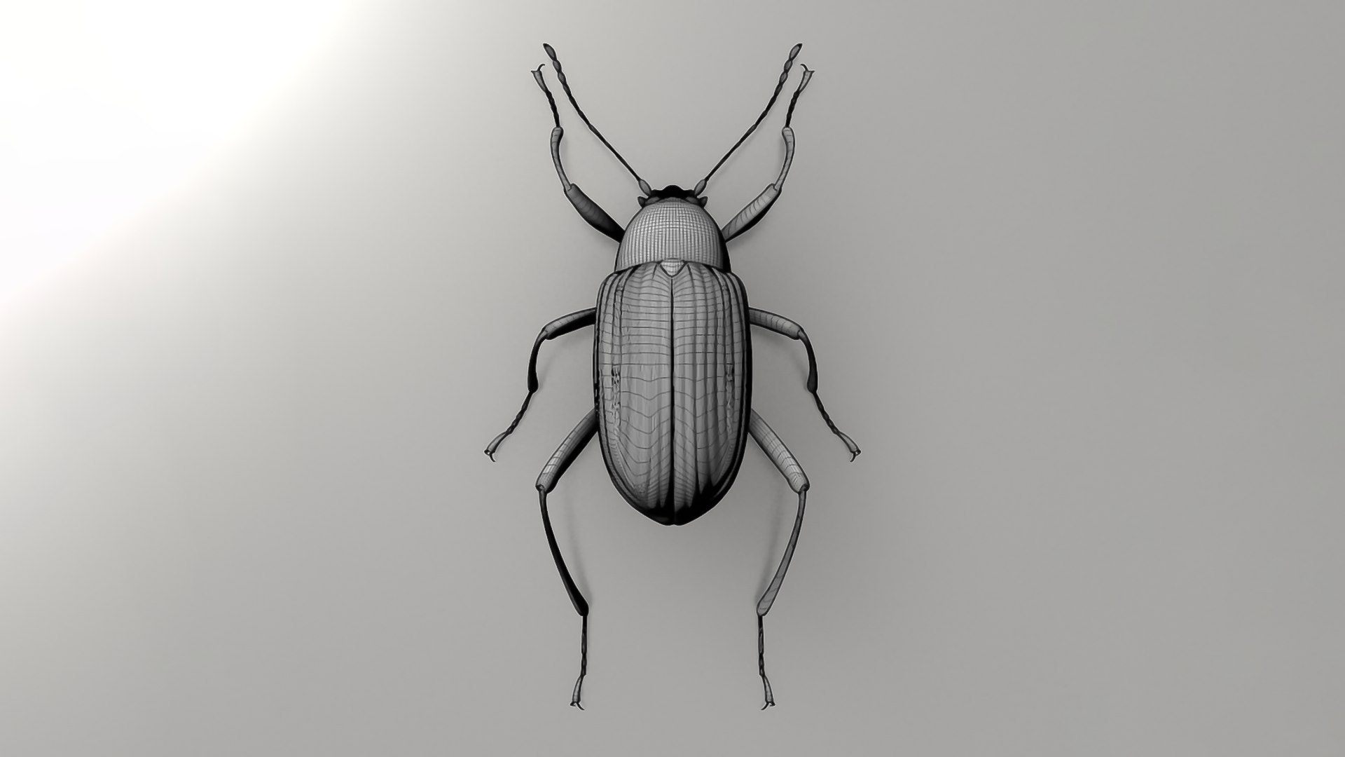 3D Realistic Insects Pack - Volume 01 - TurboSquid 2376991