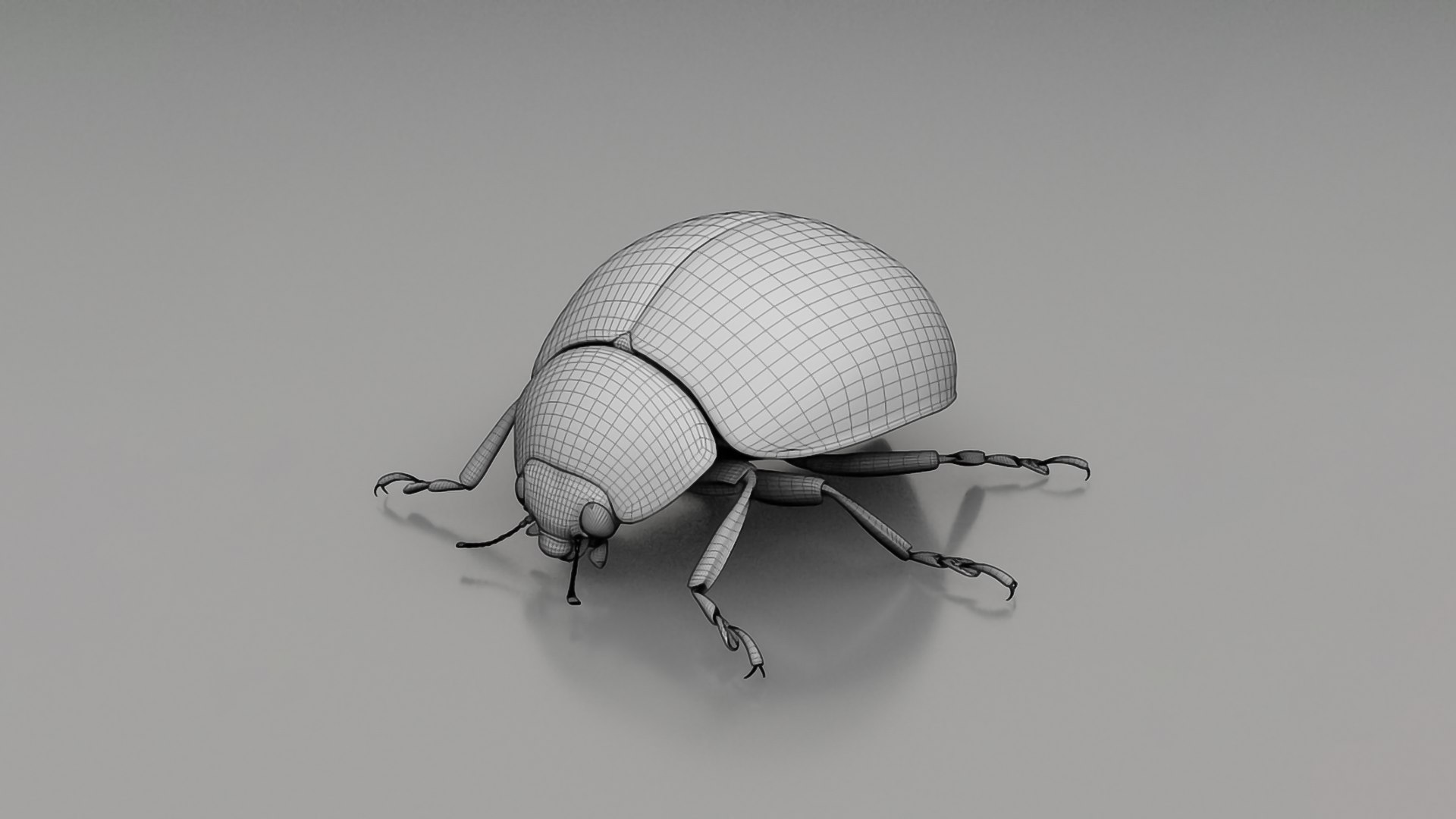 3D Realistic Insects Pack - Volume 01 - TurboSquid 2376991