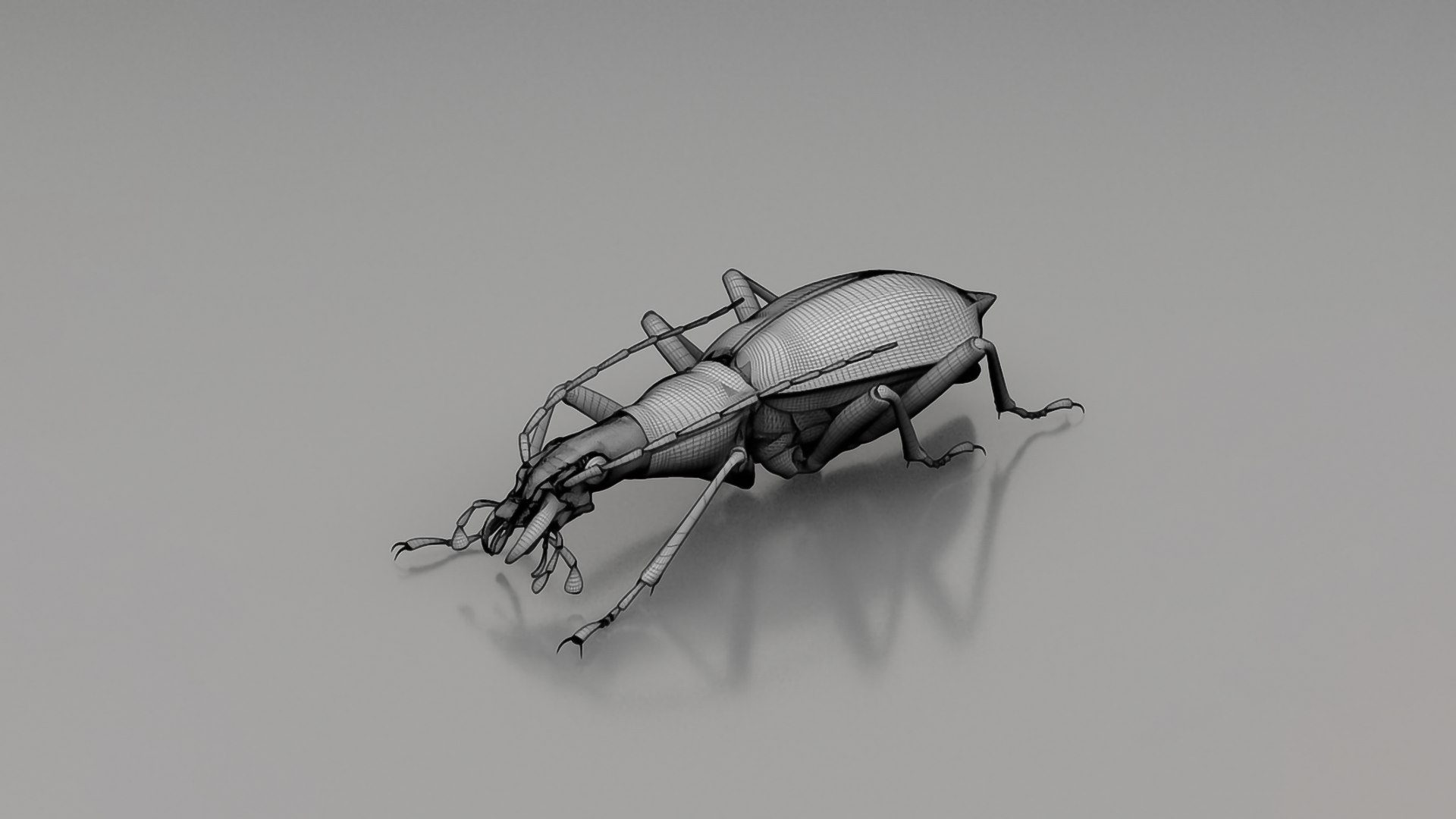 3D Realistic Insects Pack - Volume 01 - TurboSquid 2376991