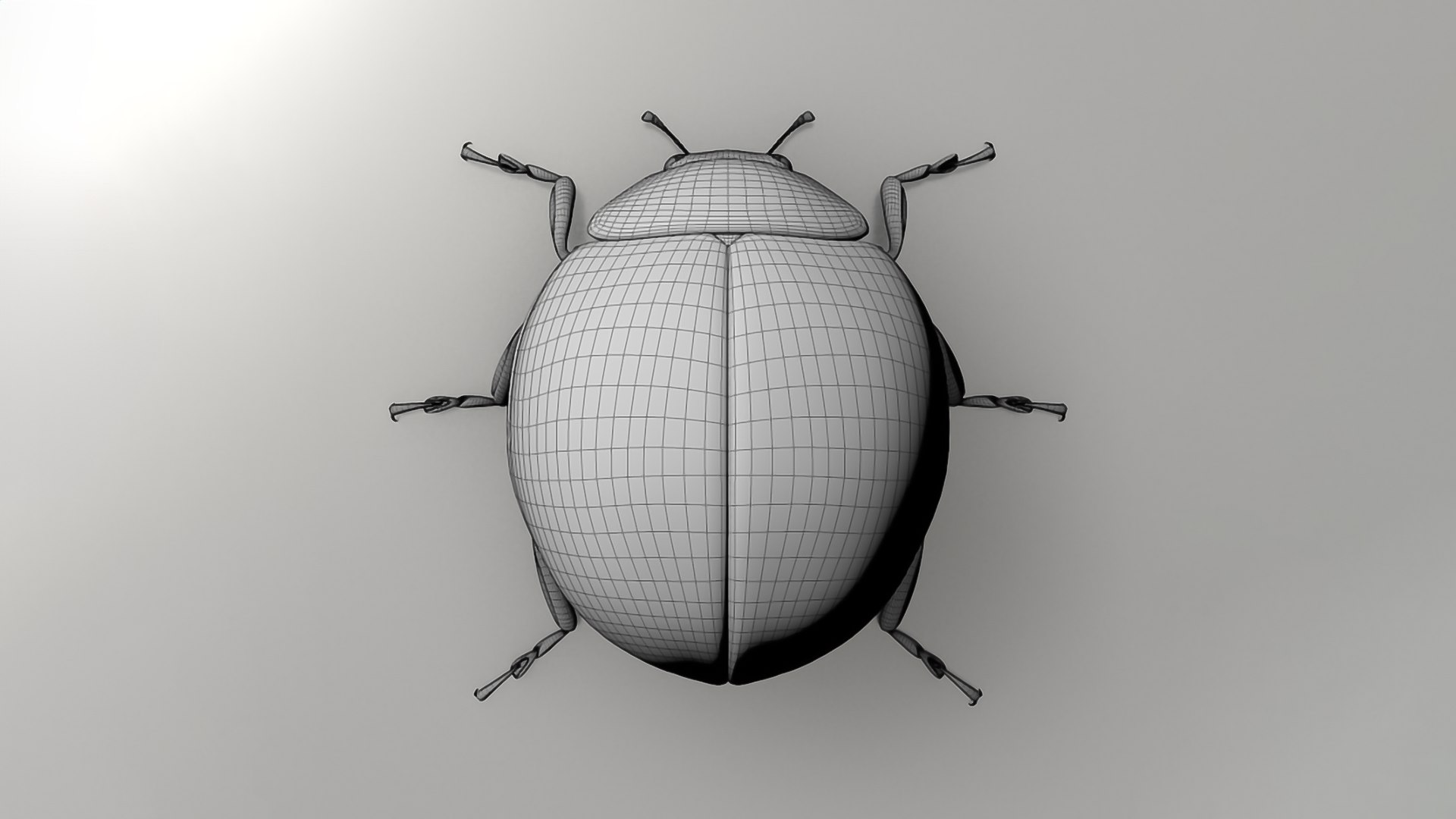3D Realistic Insects Pack - Volume 01 - TurboSquid 2376991