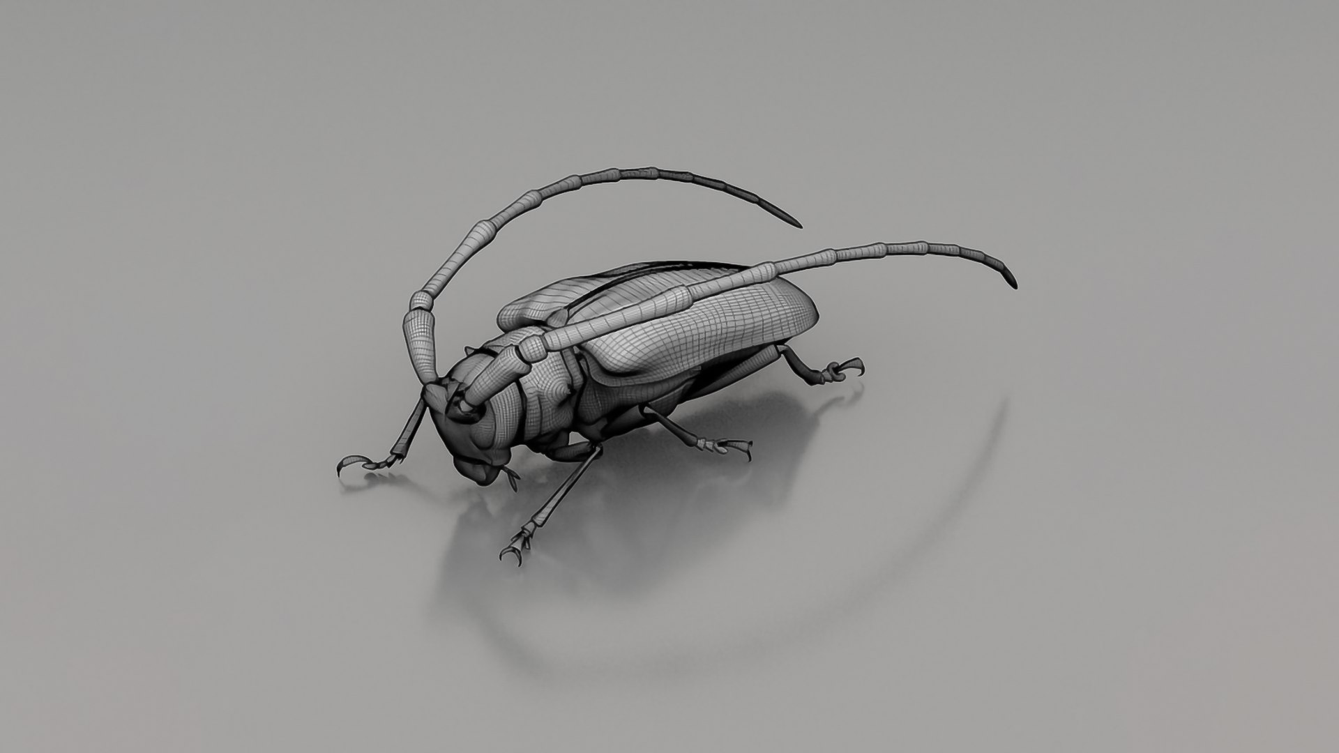 3D Realistic Insects Pack - Volume 01 - TurboSquid 2376991