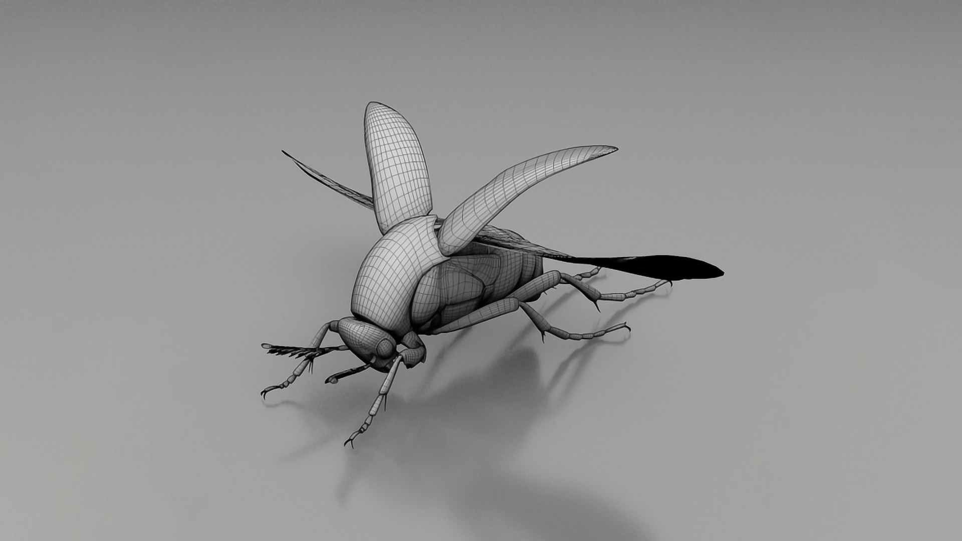 3D Realistic Insects Pack - Volume 01 - TurboSquid 2376991