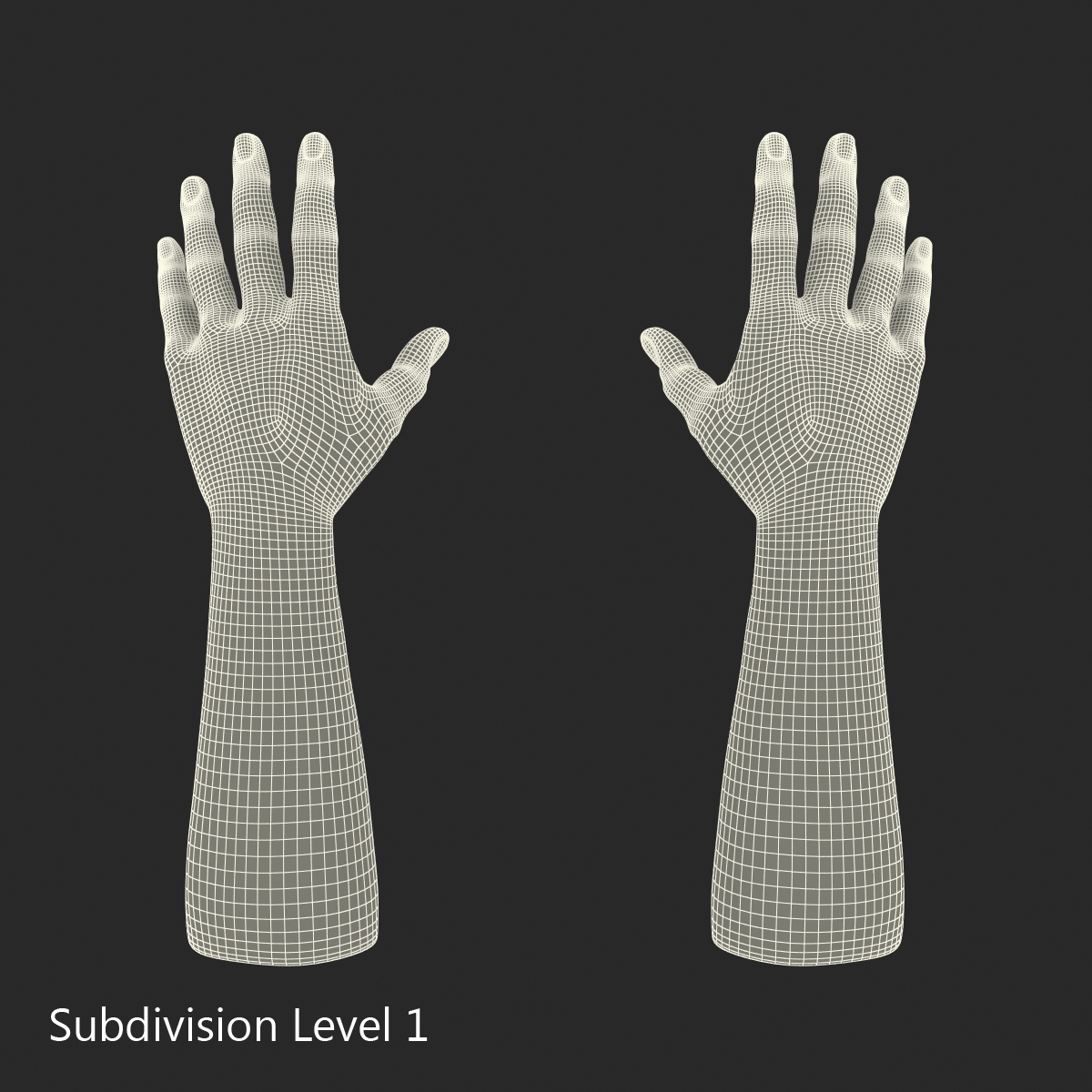 3d man hands rigged model