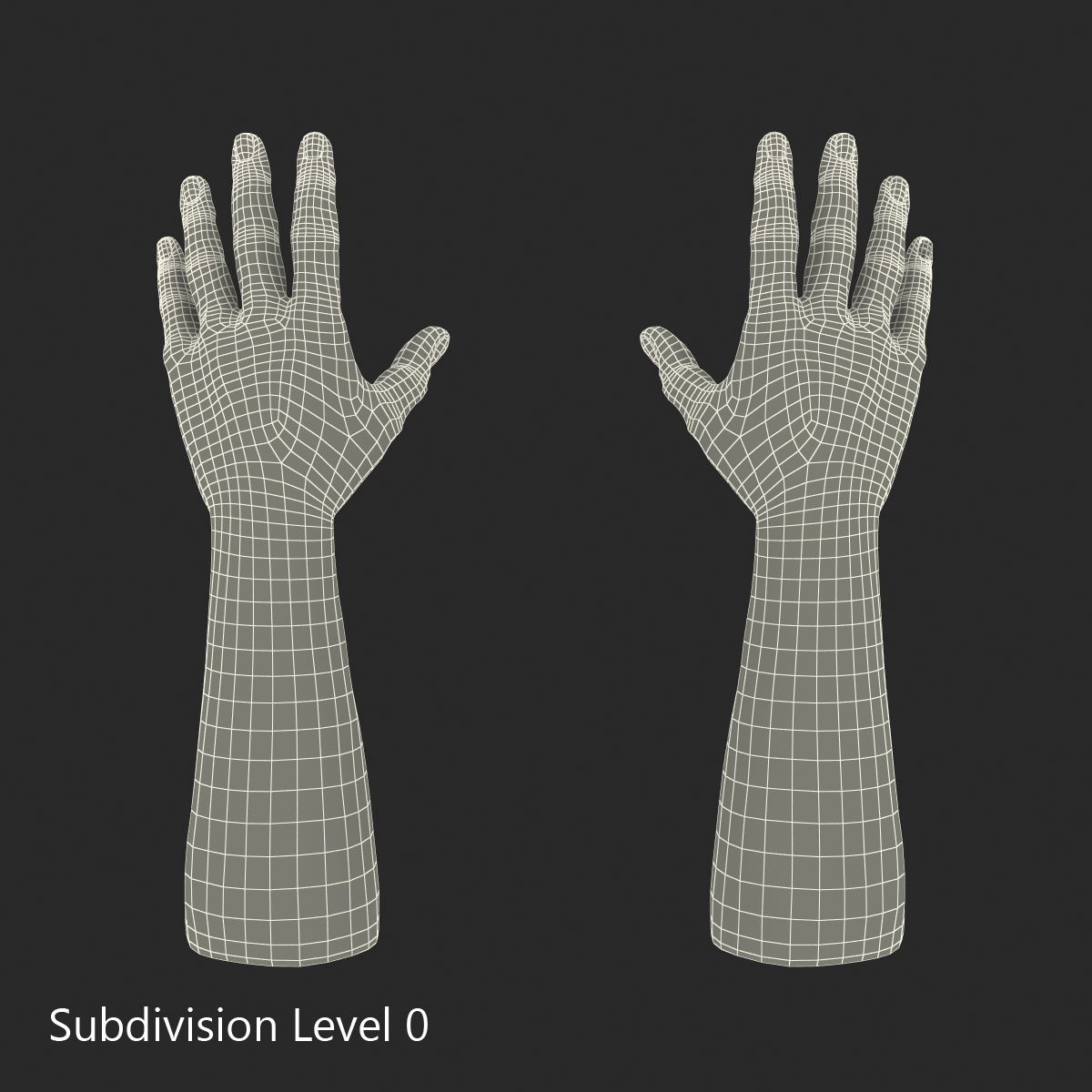 3d man hands rigged model