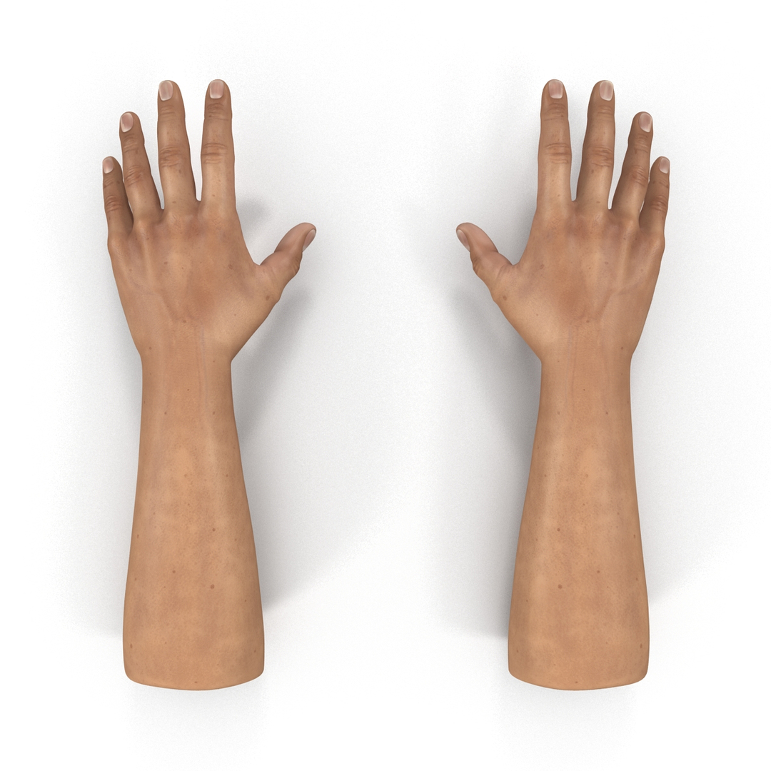 3d man hands rigged model