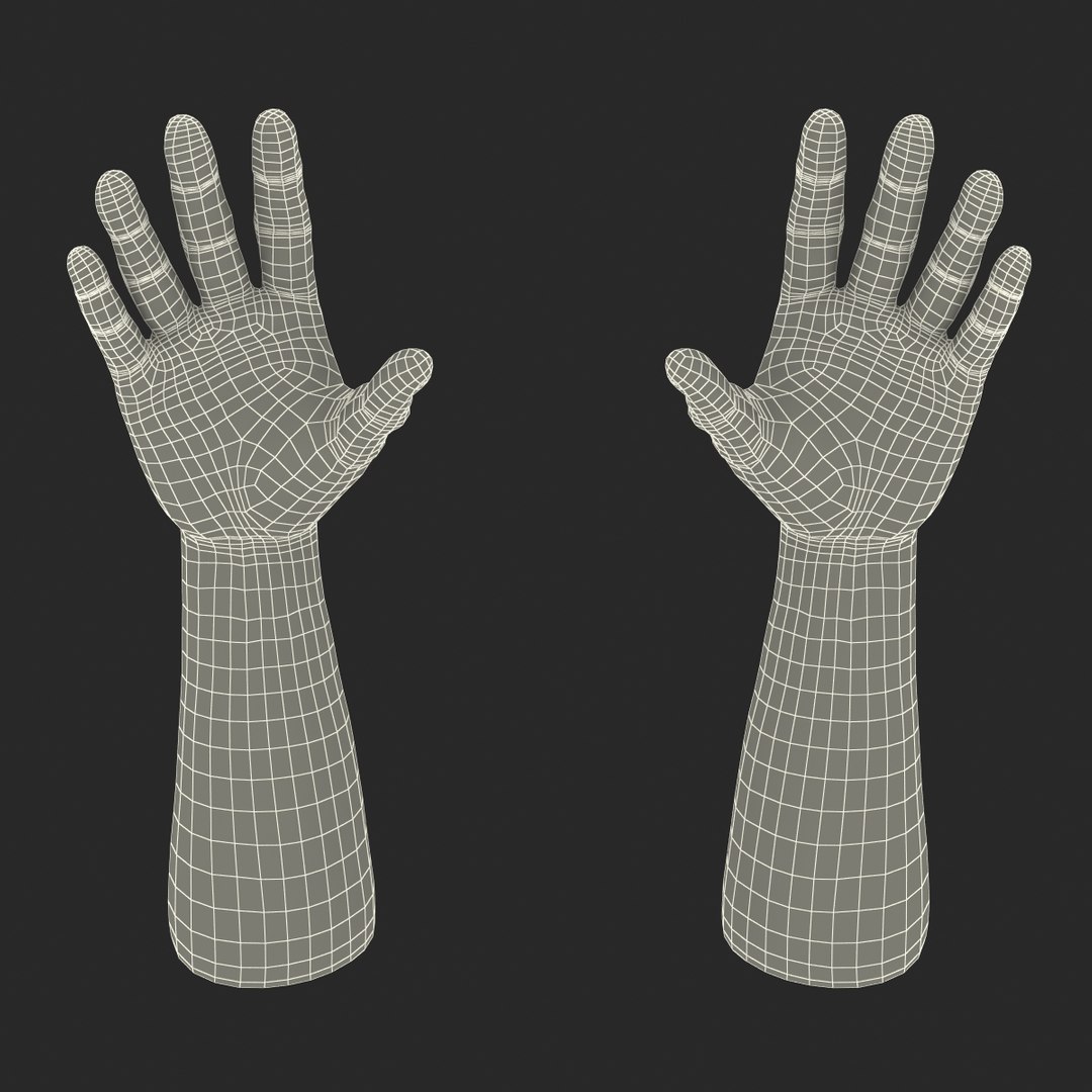 3d Man Hands Rigged Model