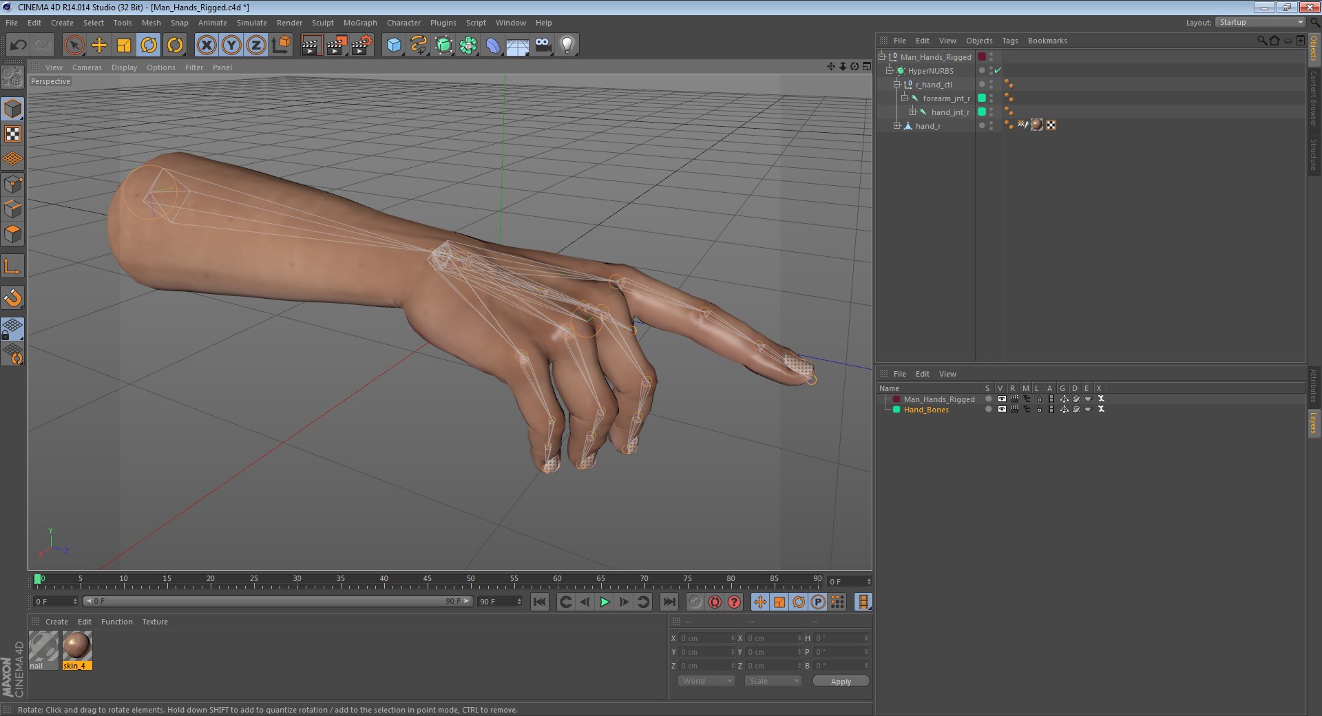 3d man hands rigged model