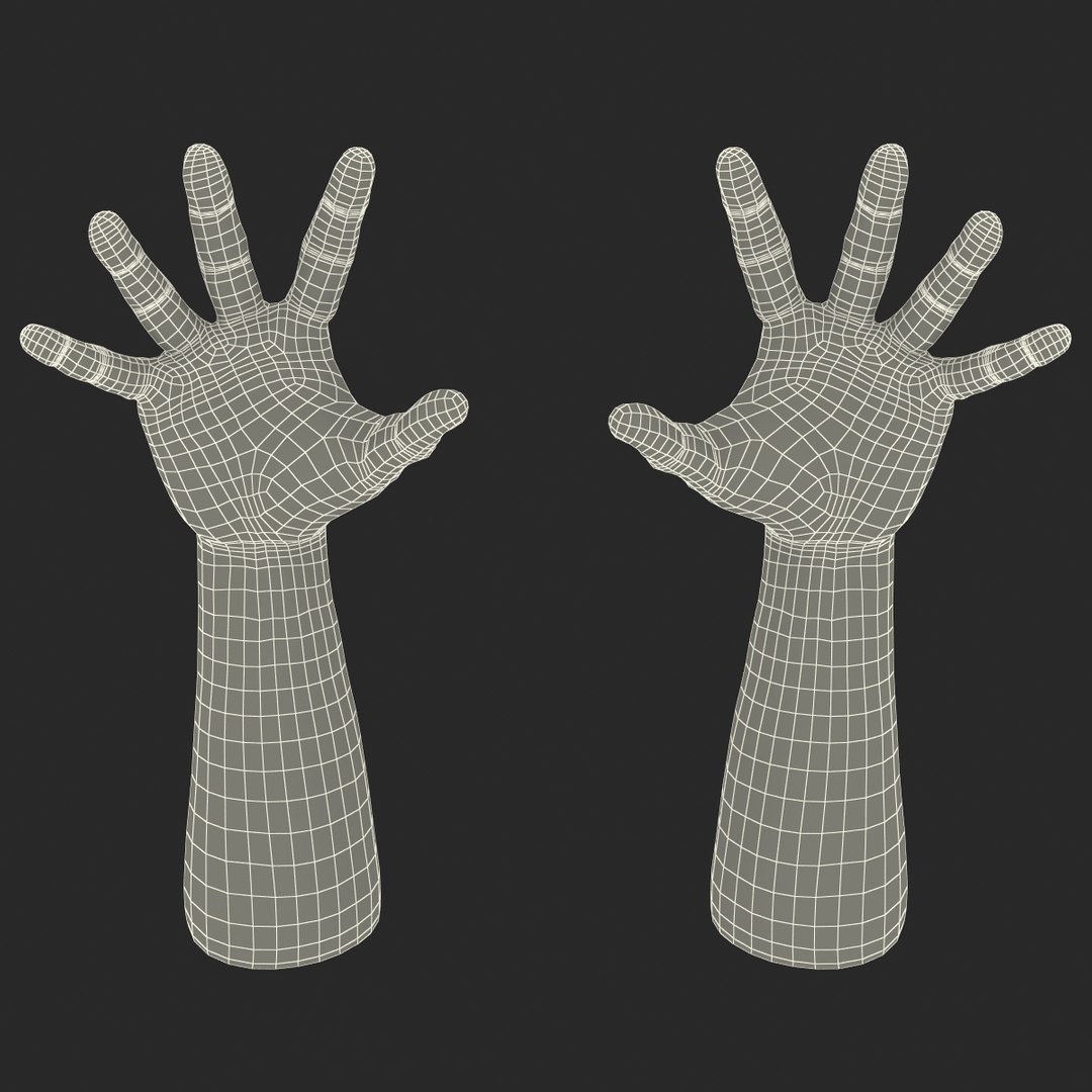 3d Man Hands Rigged Model