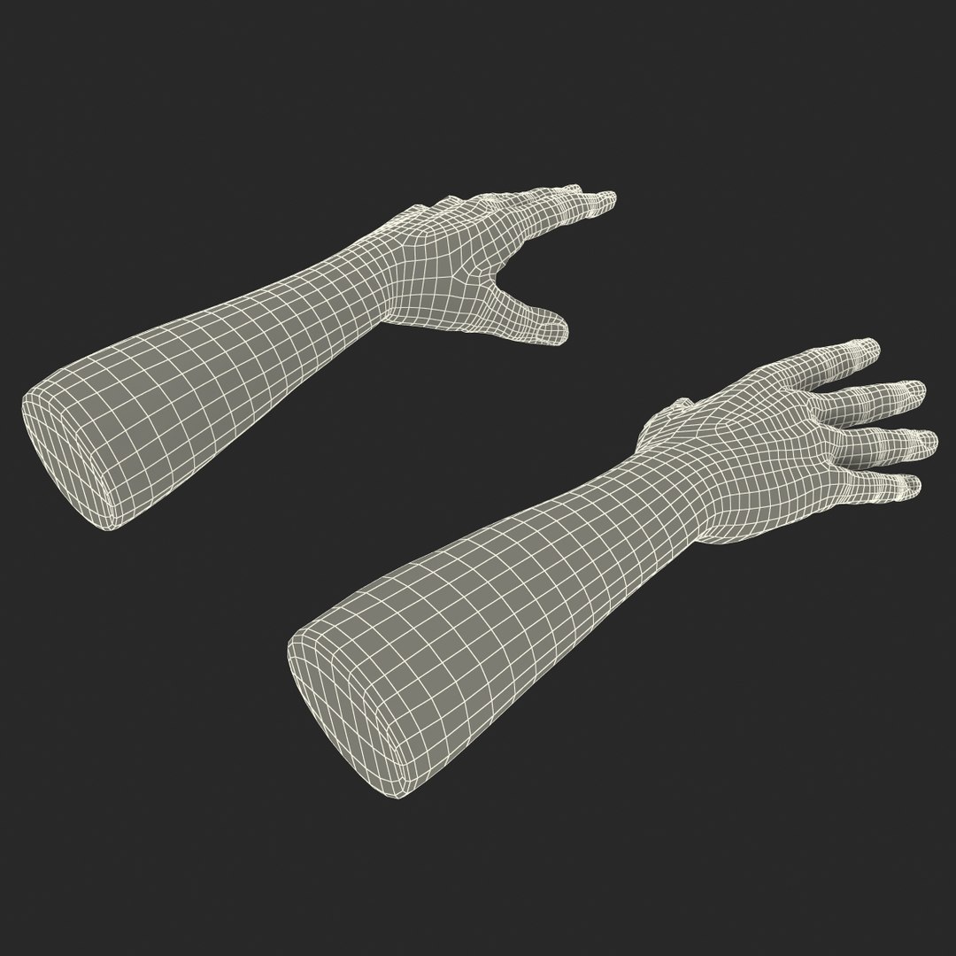 3d Man Hands Rigged Model
