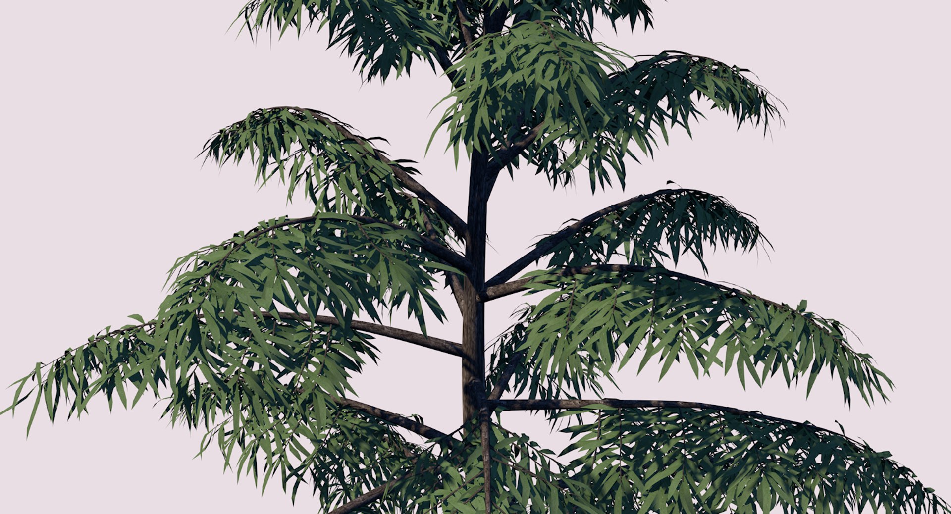 Yellow Cypress Tree 3D - TurboSquid 1280923